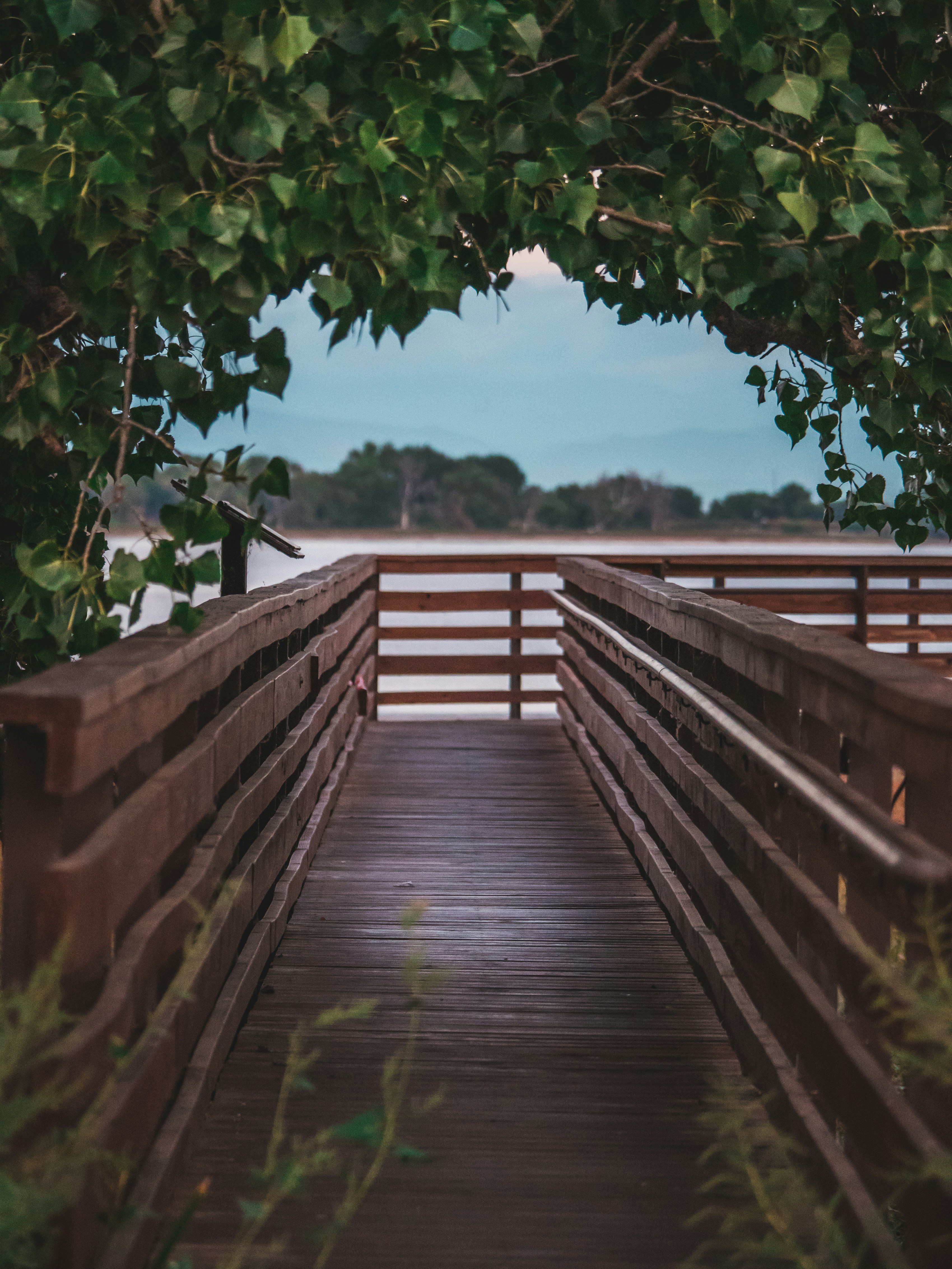 A wooden boardwalk leads through a lush canopy of leaves, framing a serene view of the water and distant mountains.