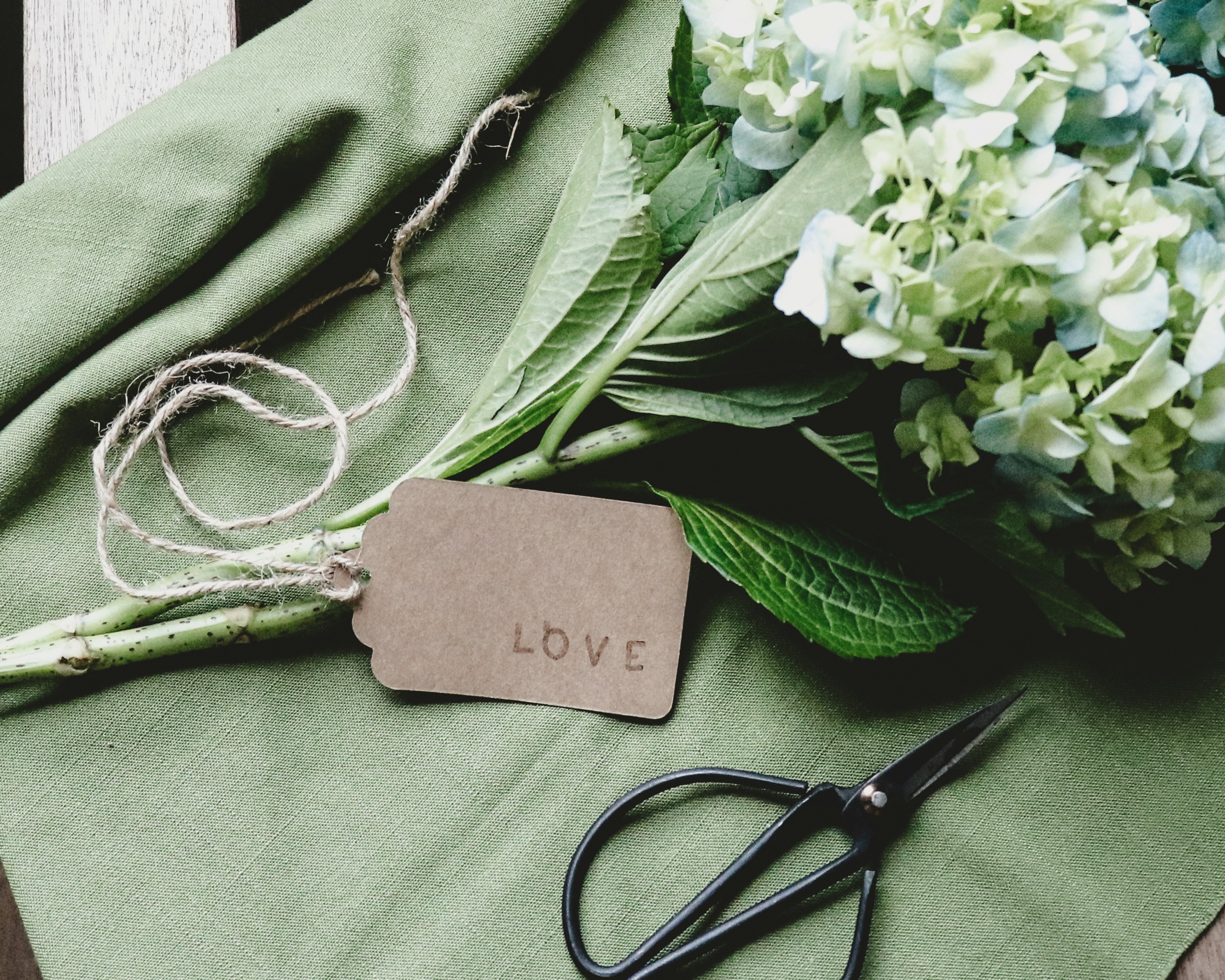 Love in Green: A Minimal Still Life with Tag, Hydrangea, and Scissors