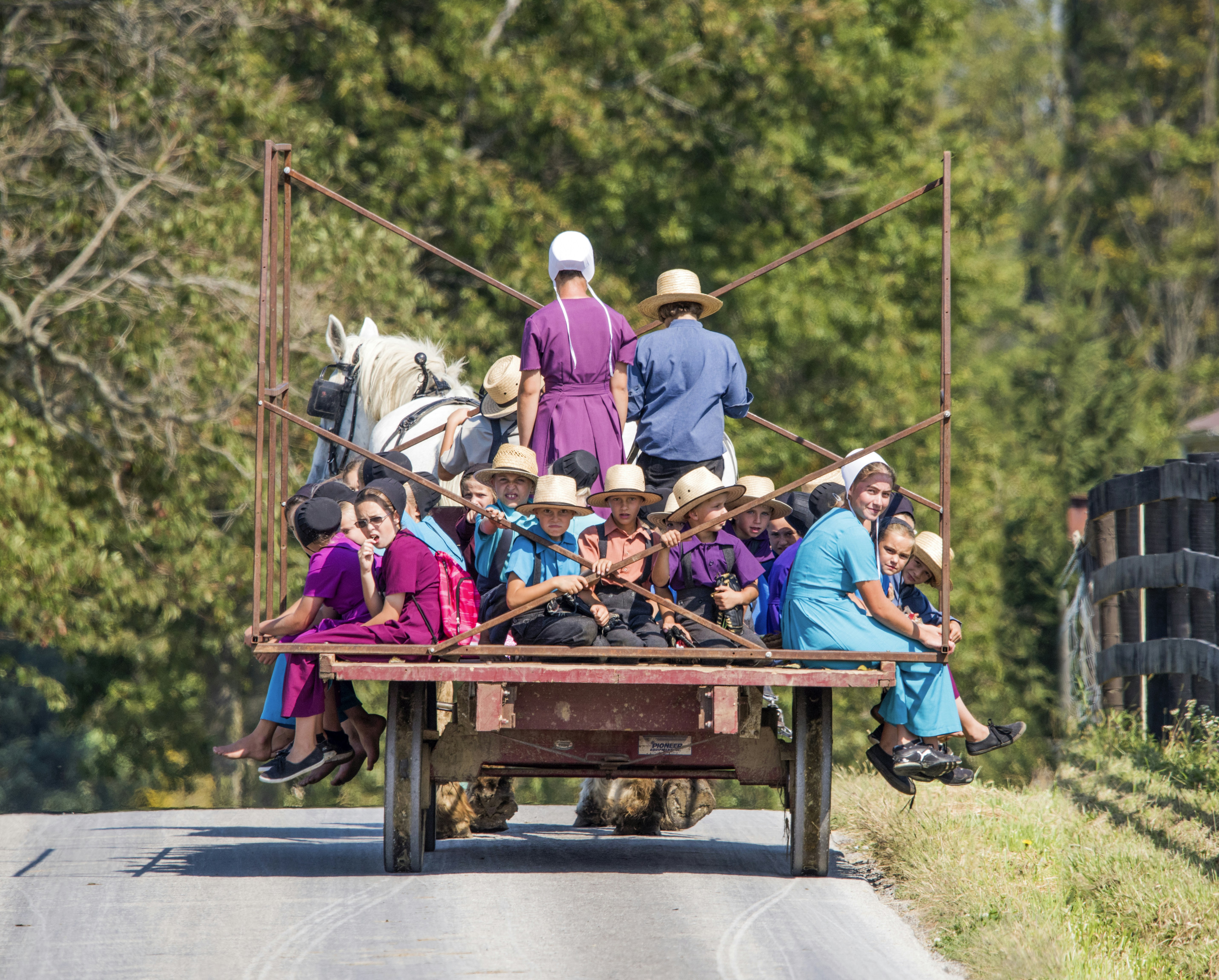 People riding carriage photo – Free Human Image on Unsplash