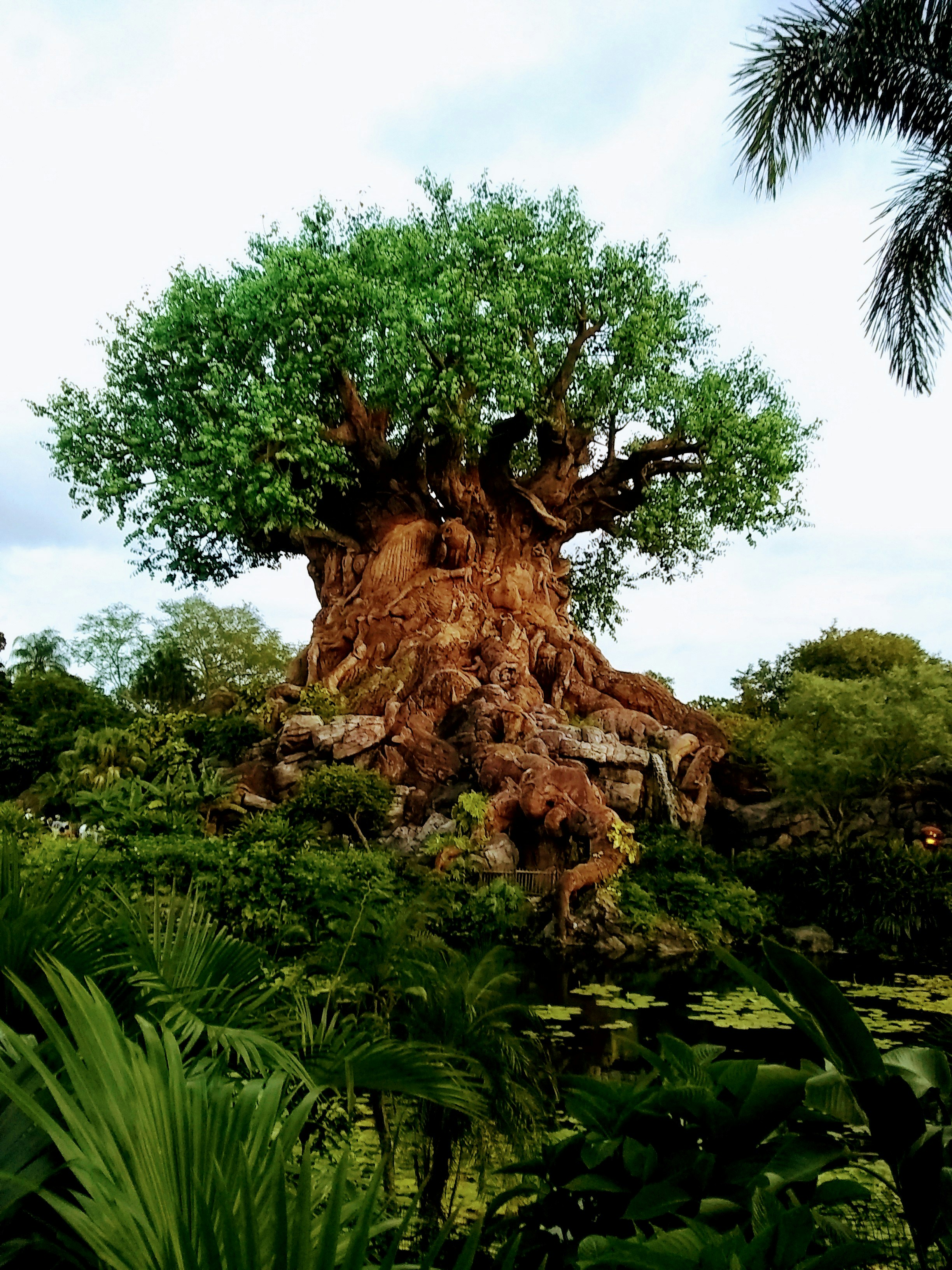 The Ancient Arboreal Giant Rising from a Lush Wetland
