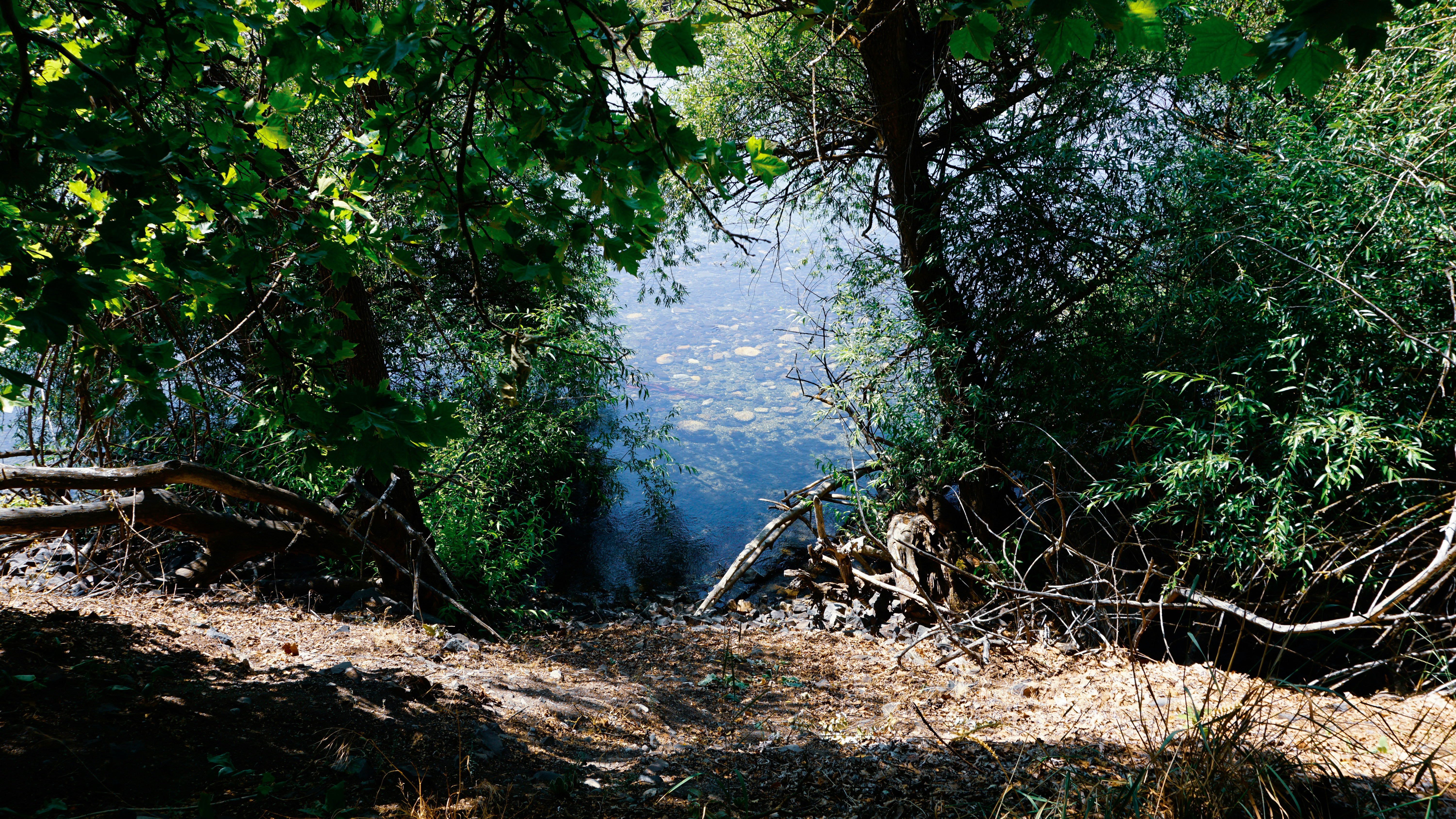 Hidden Pathway to Tranquil Waters