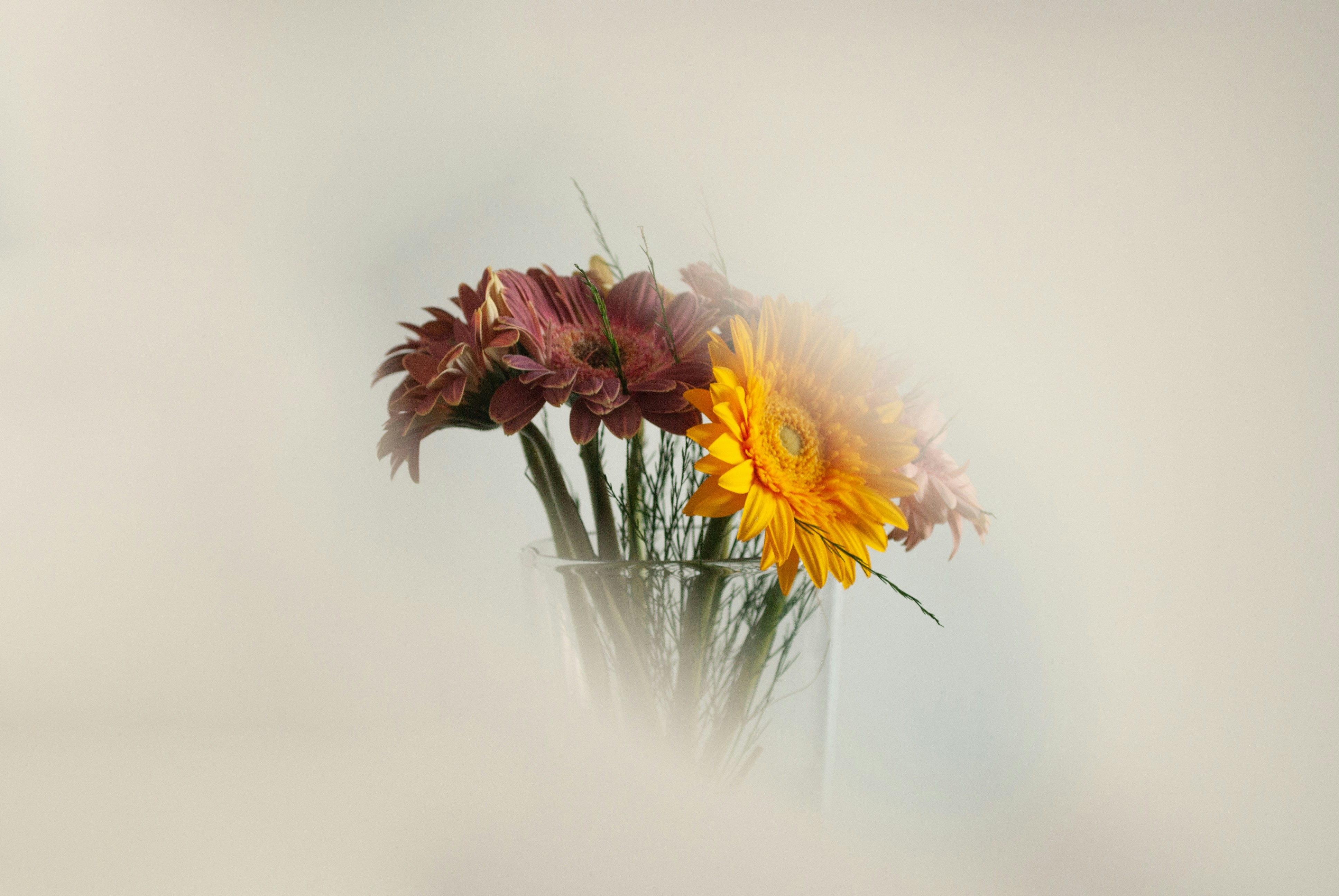 Sunflower Centerstage: A Quiet Bouquet in Soft Focus