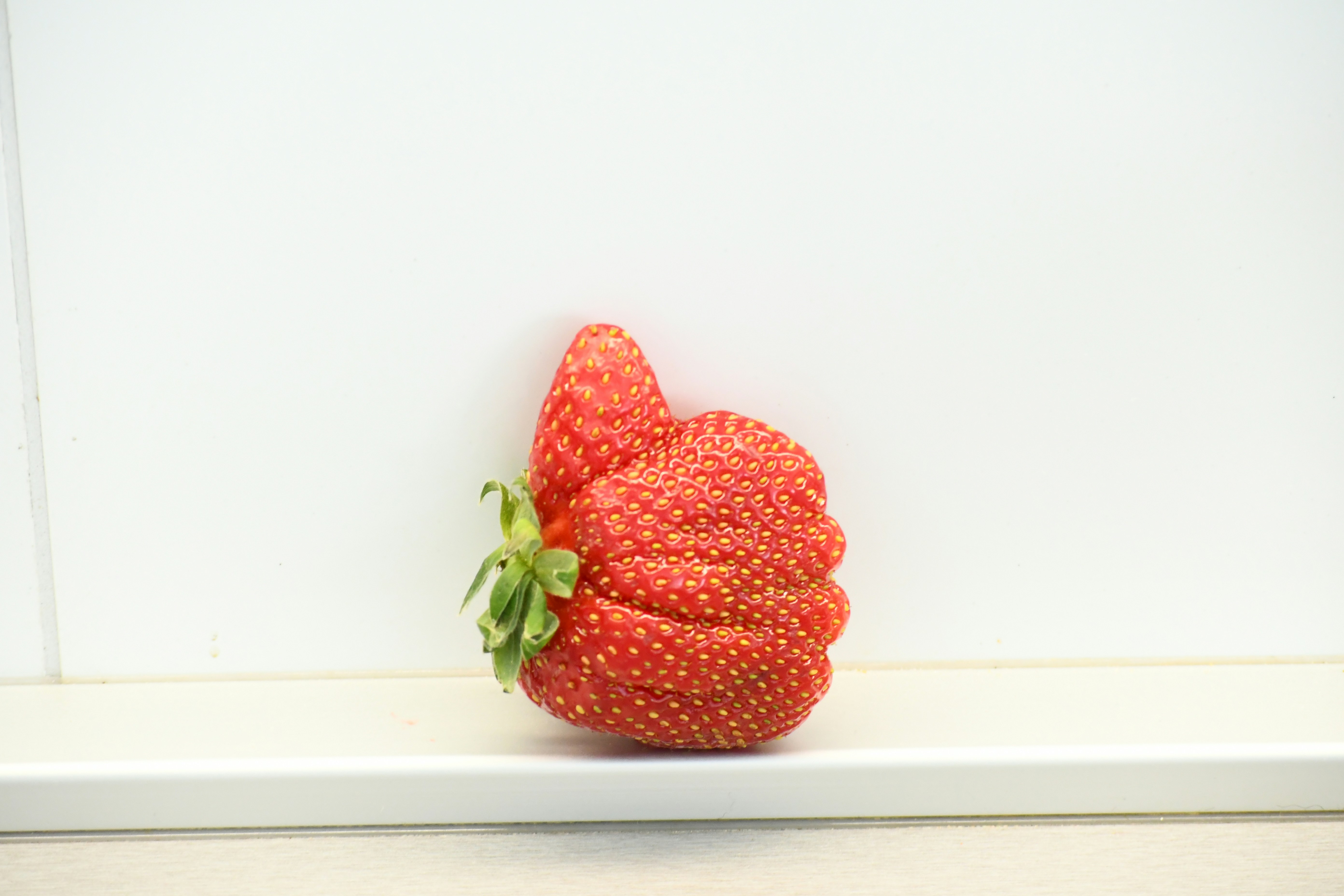 Strawberry on a Bleached Stage: A Minimalist Still-Life Moment