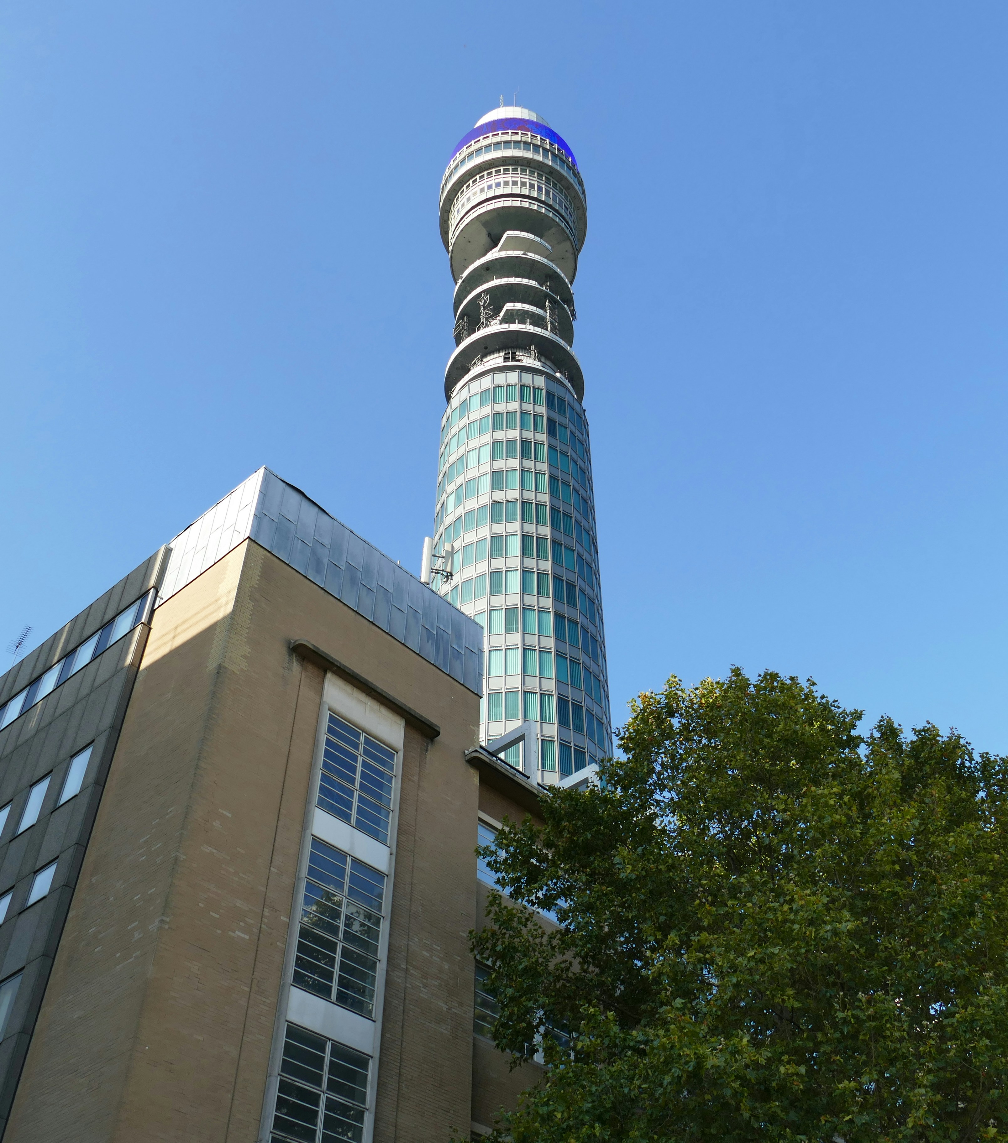 Skyward Pulse: The Tall Tower Rising Over Modern Brick and Leaf