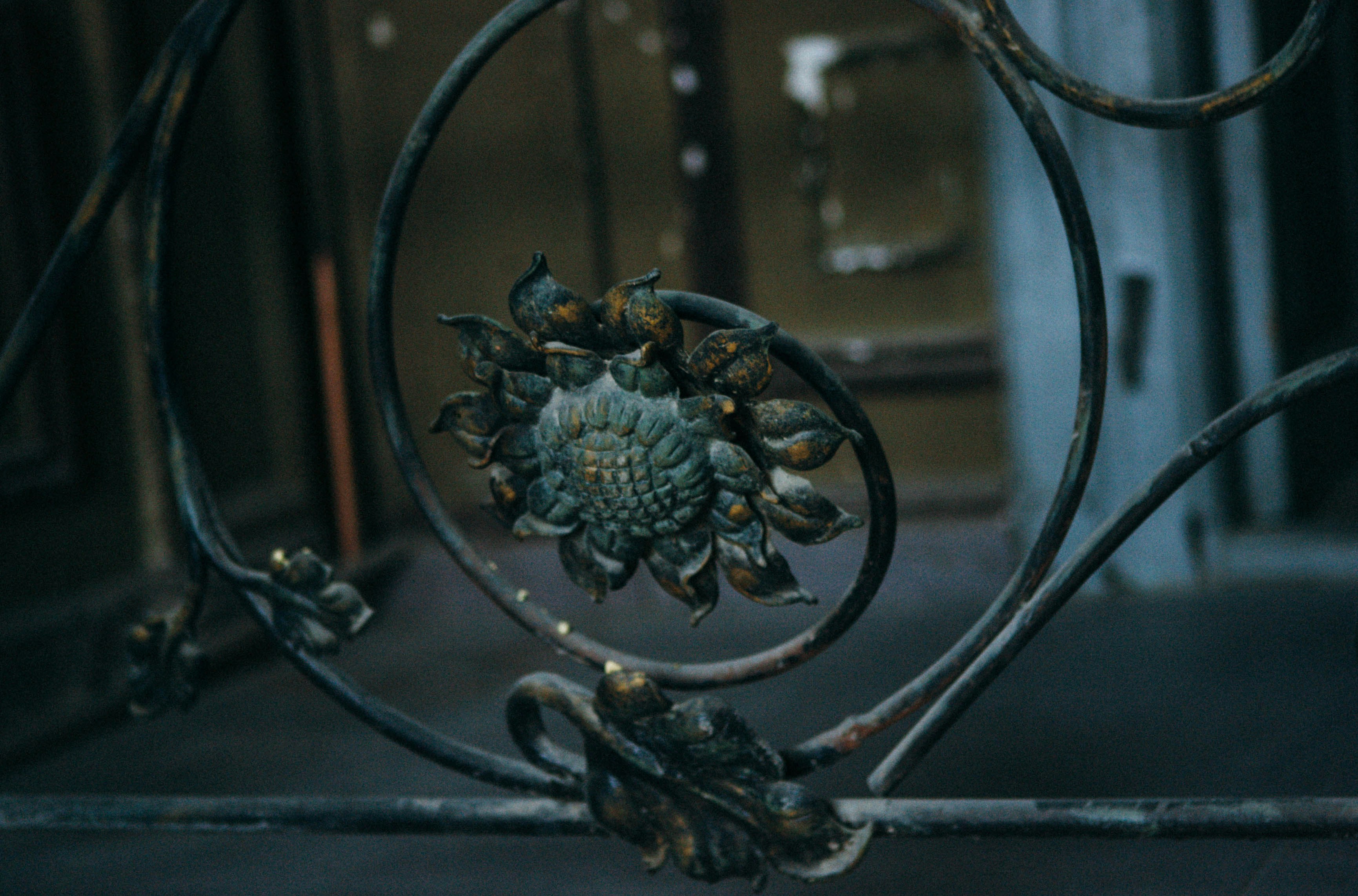 Intricate wrought iron gate featuring a floral motif, showcasing detailed craftsmanship and vintage charm.