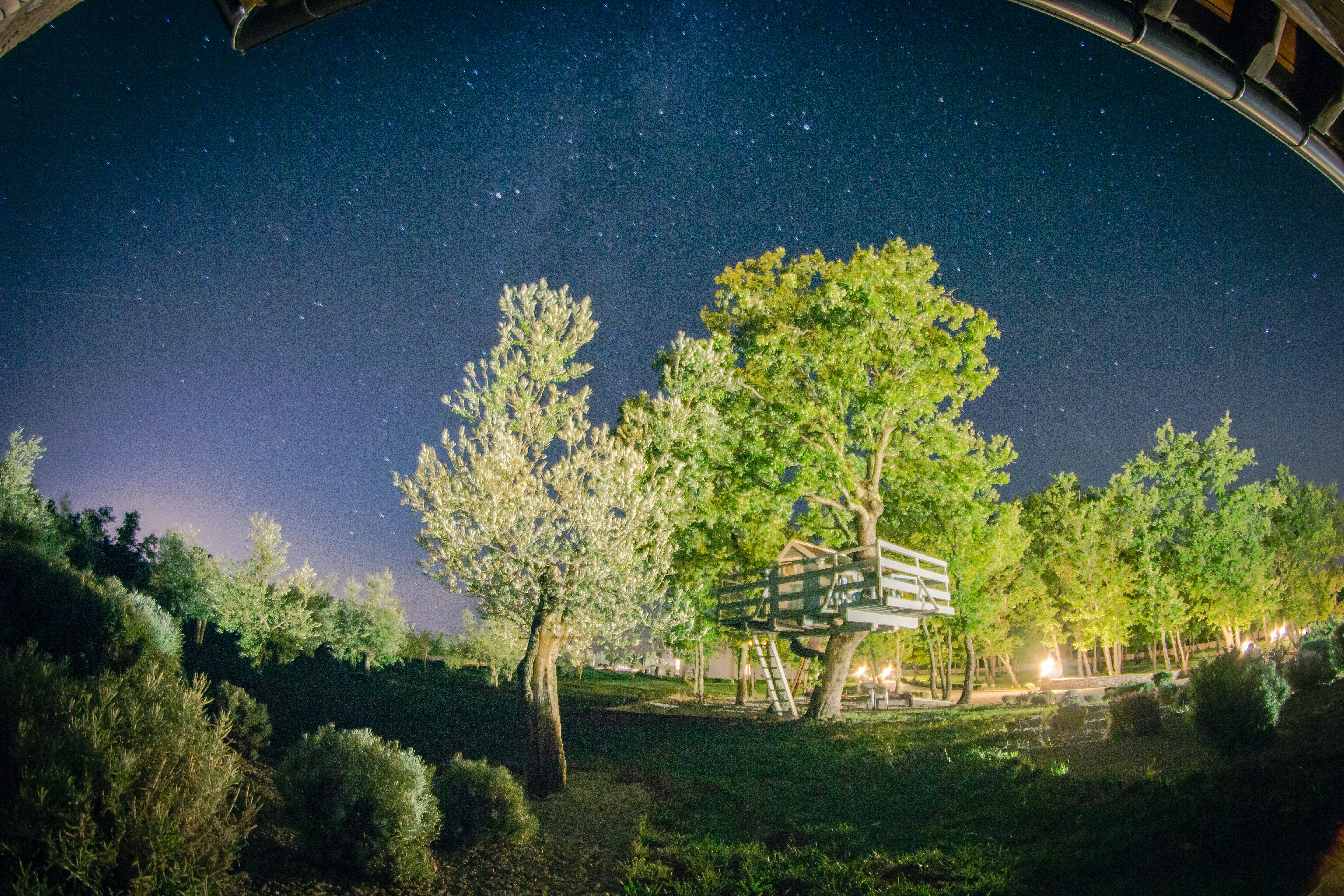 Starlit Serenity in a Treehouse Oasis