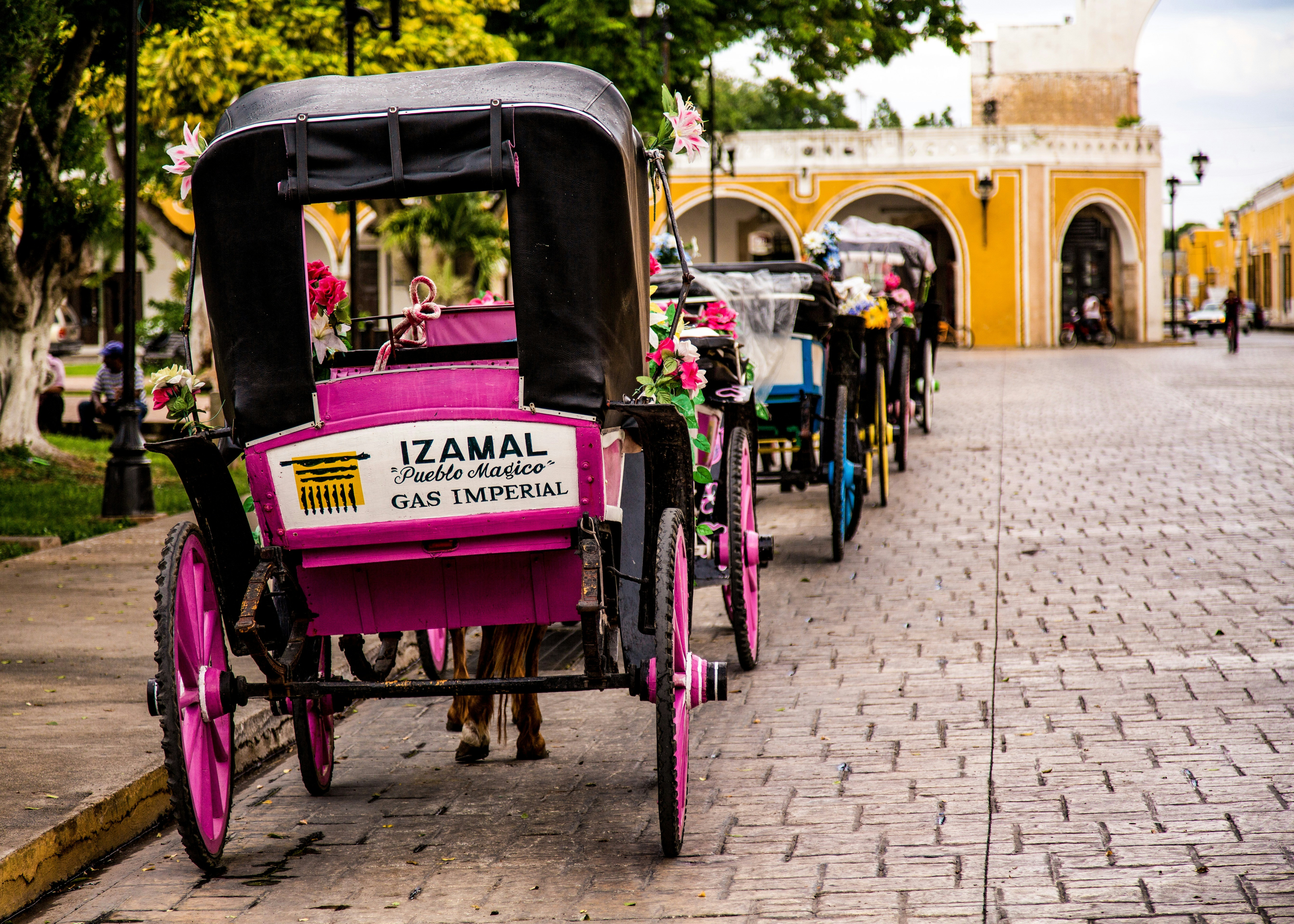 Getting around in Izamal: traditions and modern, horses and taxis | horse carriages on road side near park