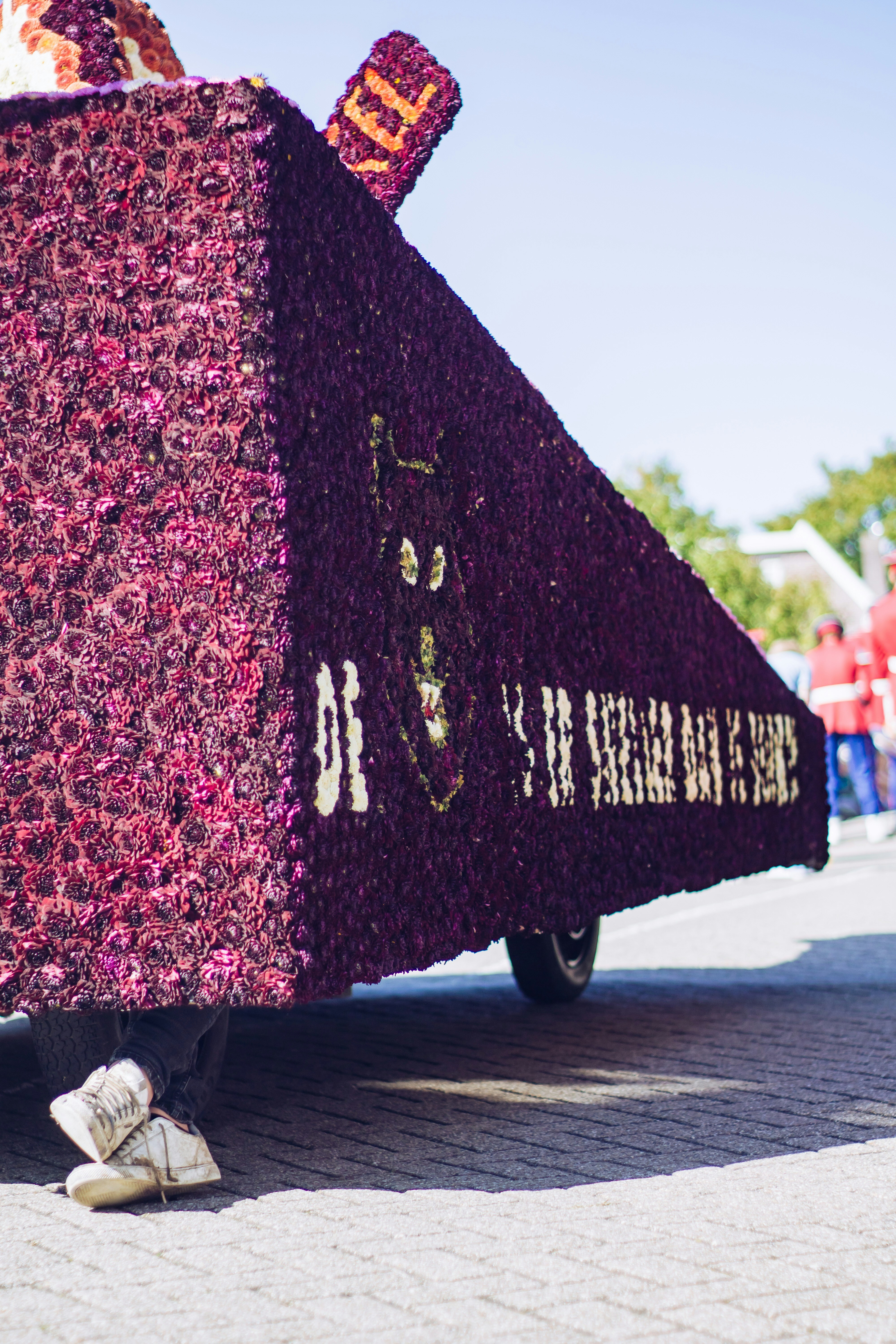 The dutch ‘bloemencorso’. It’s a day of celebration which takes weeks and months of preparation. Teams create beautifull cars ‘praalwagens’ which are covered with dahlia flowers.