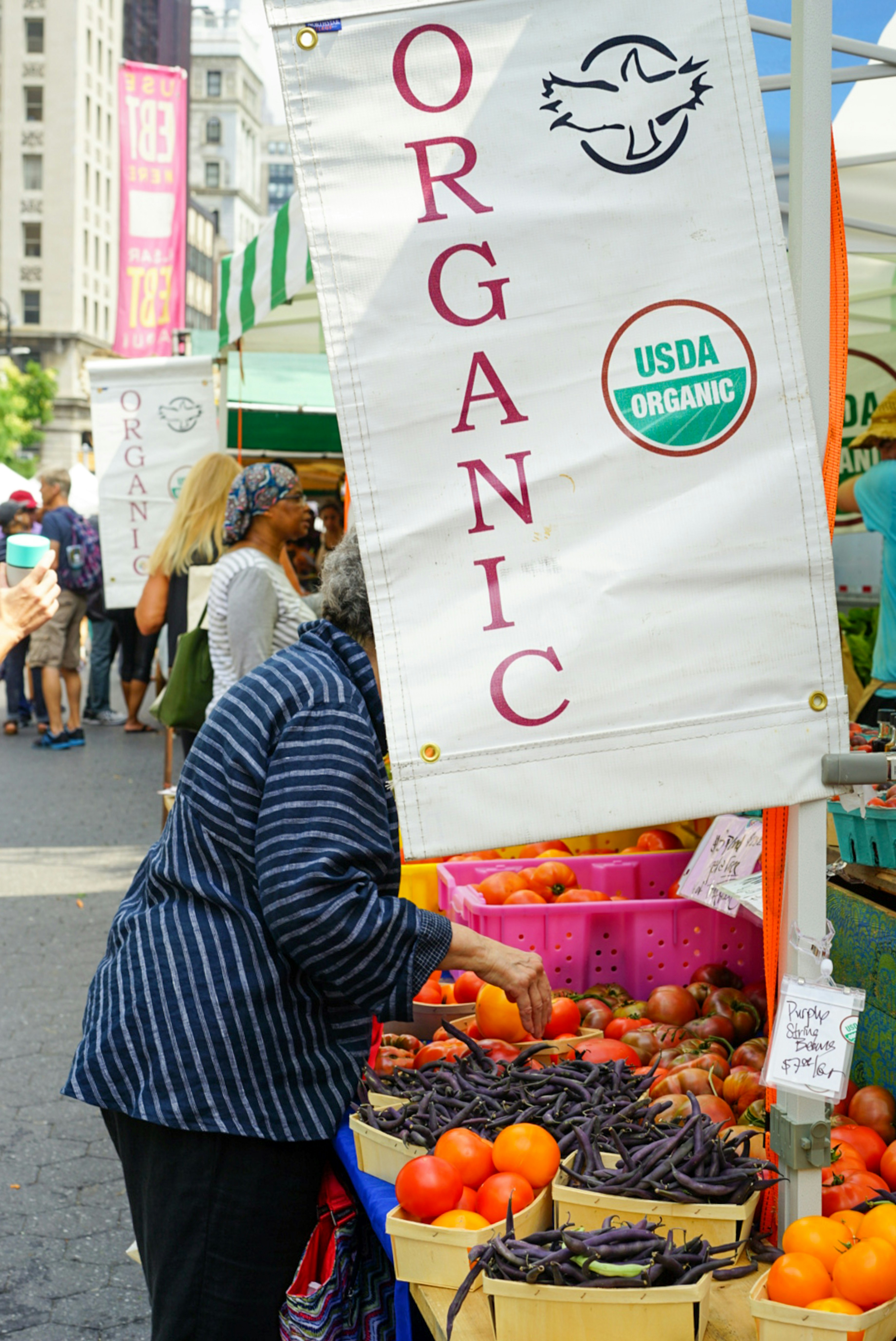 Harvest Moment Under the Organic Banner: A Shopper Selects Fresh Produce at the City Market