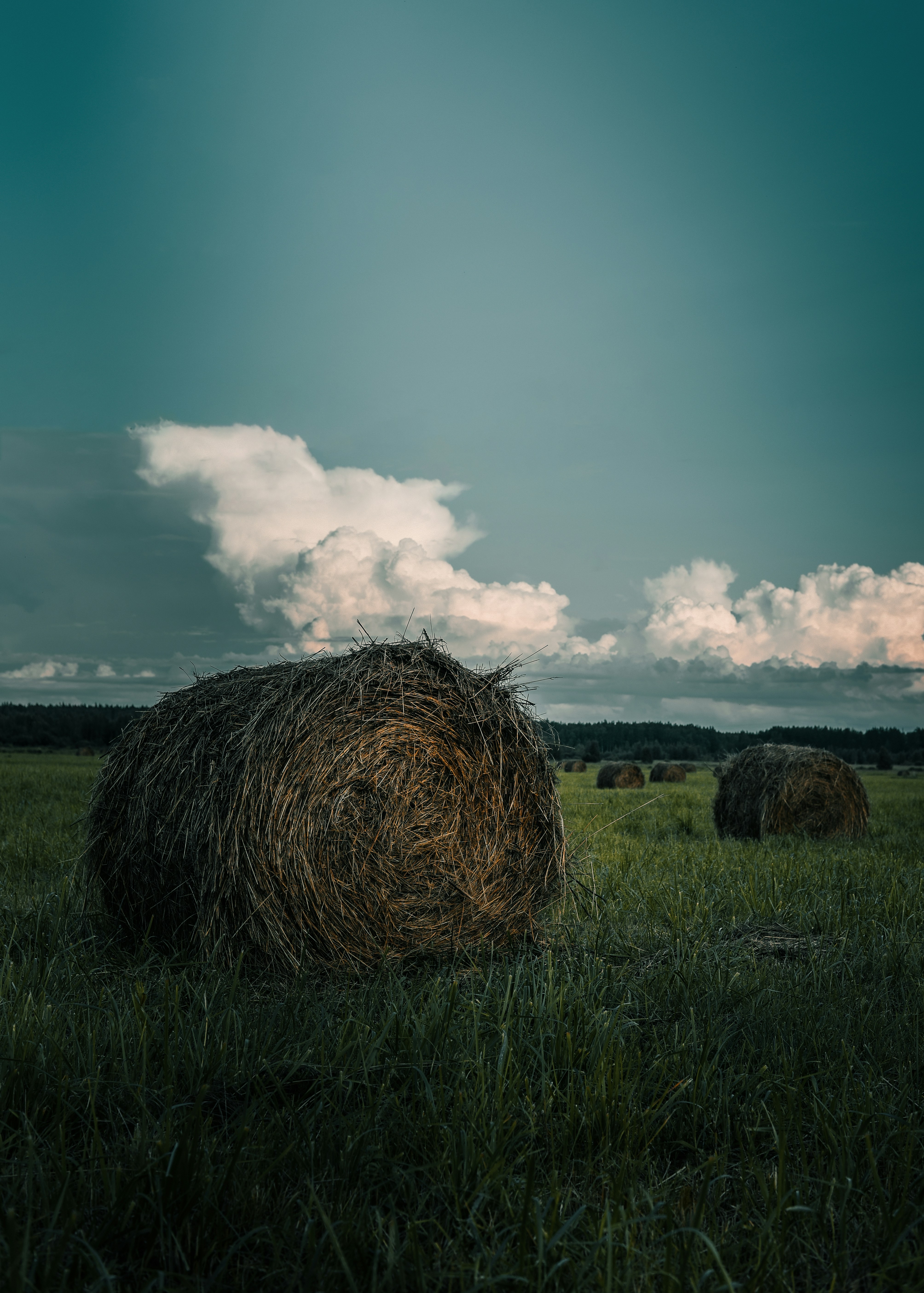 Hay stack on grass field during daytime photo – Free Grey Image on Unsplash