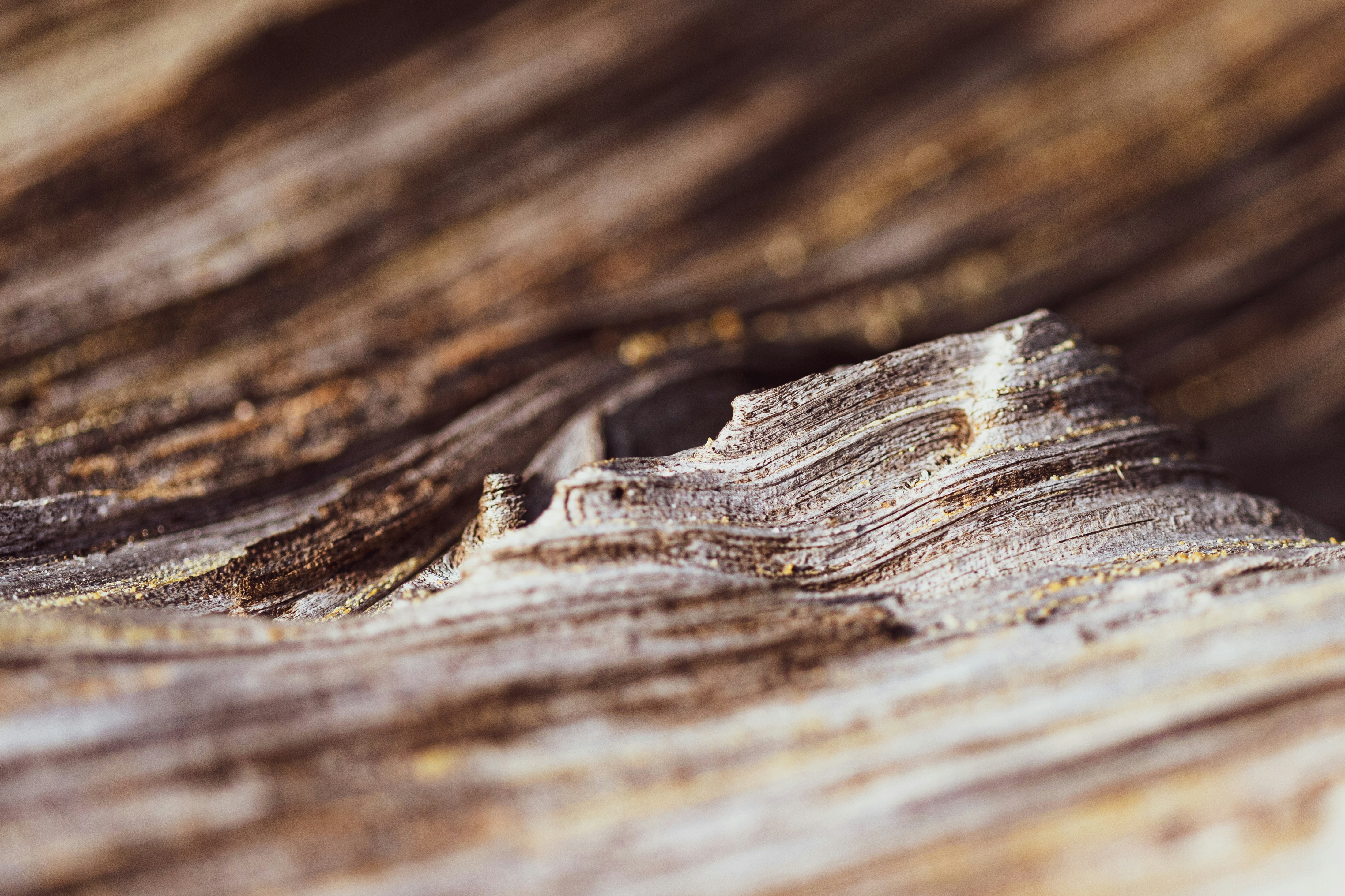 Close-up of textured wood grain with intricate patterns and warm hues.