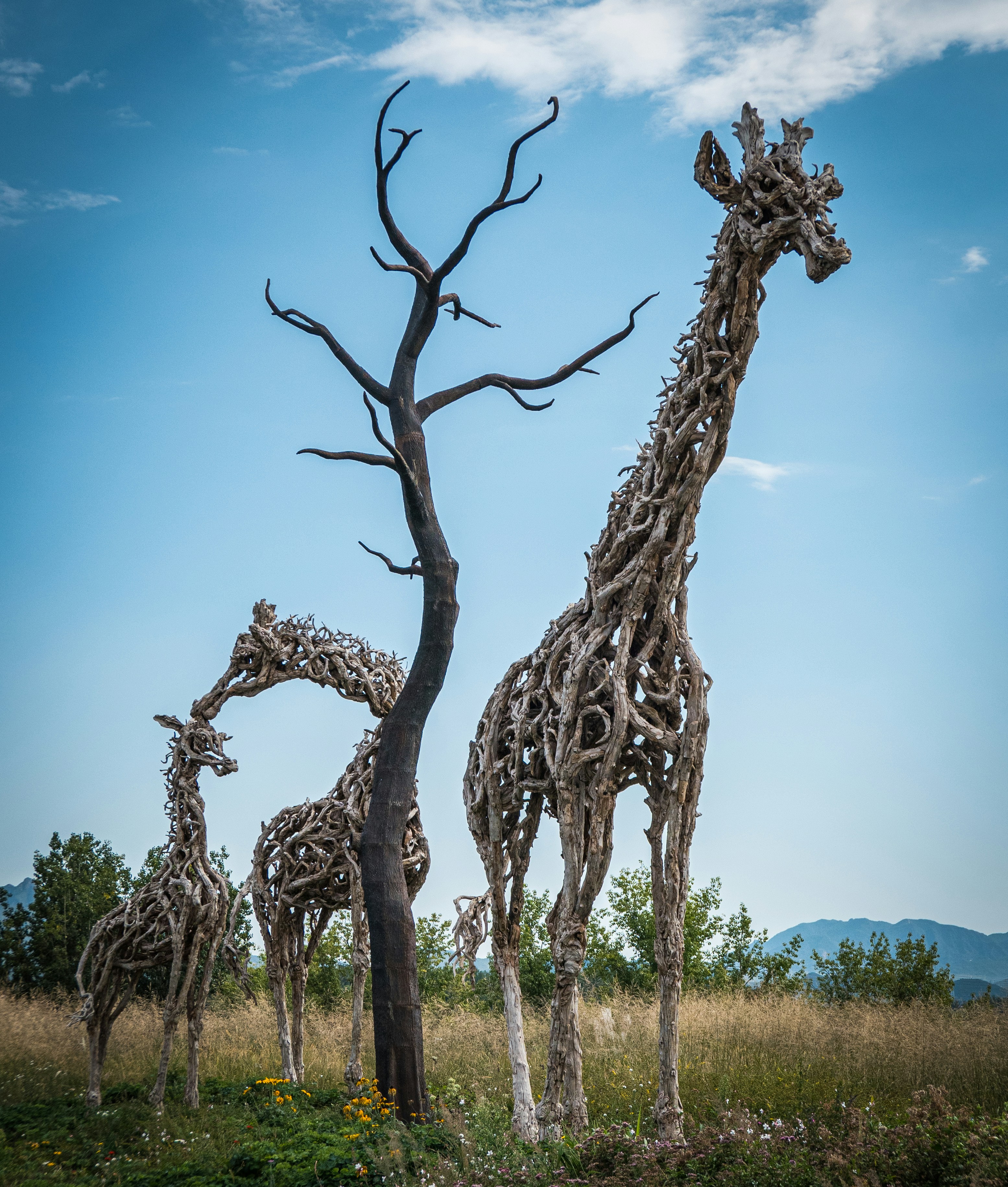 Driftwood Giraffes Standing Sentinel in a Prairie Sky