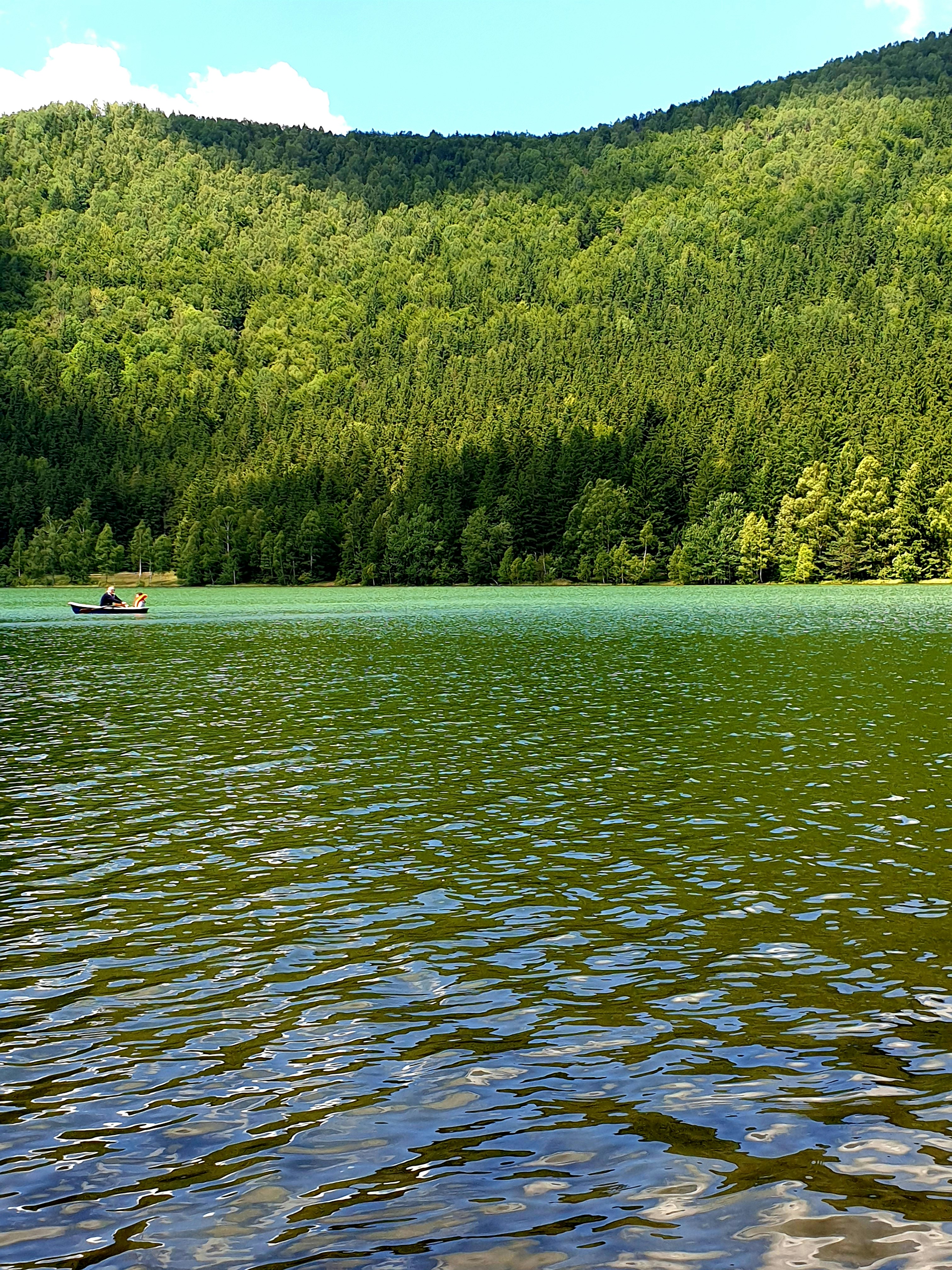Emerald Lake Reverie: A Lone Boat Among Pines