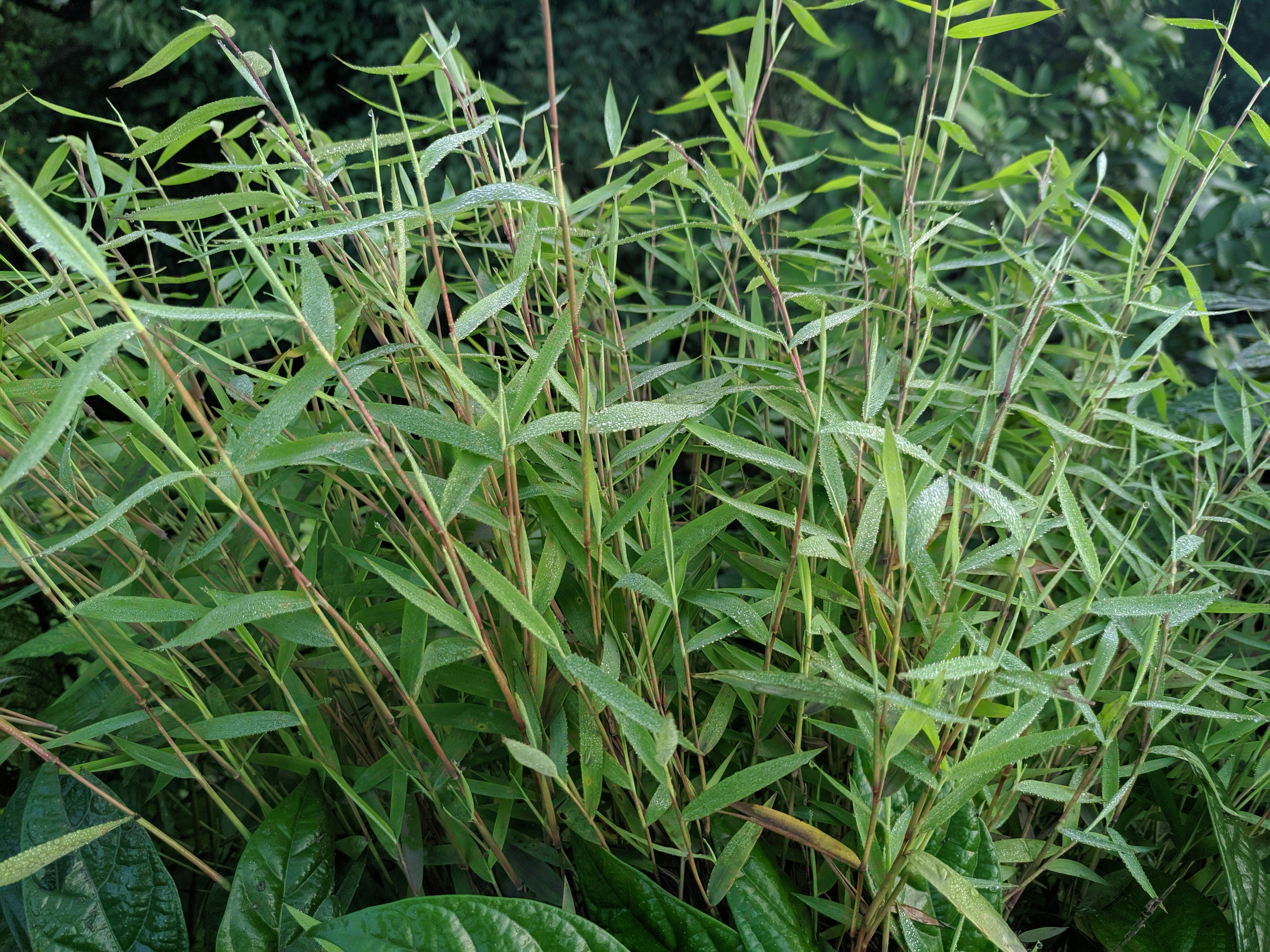 Gulshan Kumar (@gulshan17) | Communauté photos Unsplash