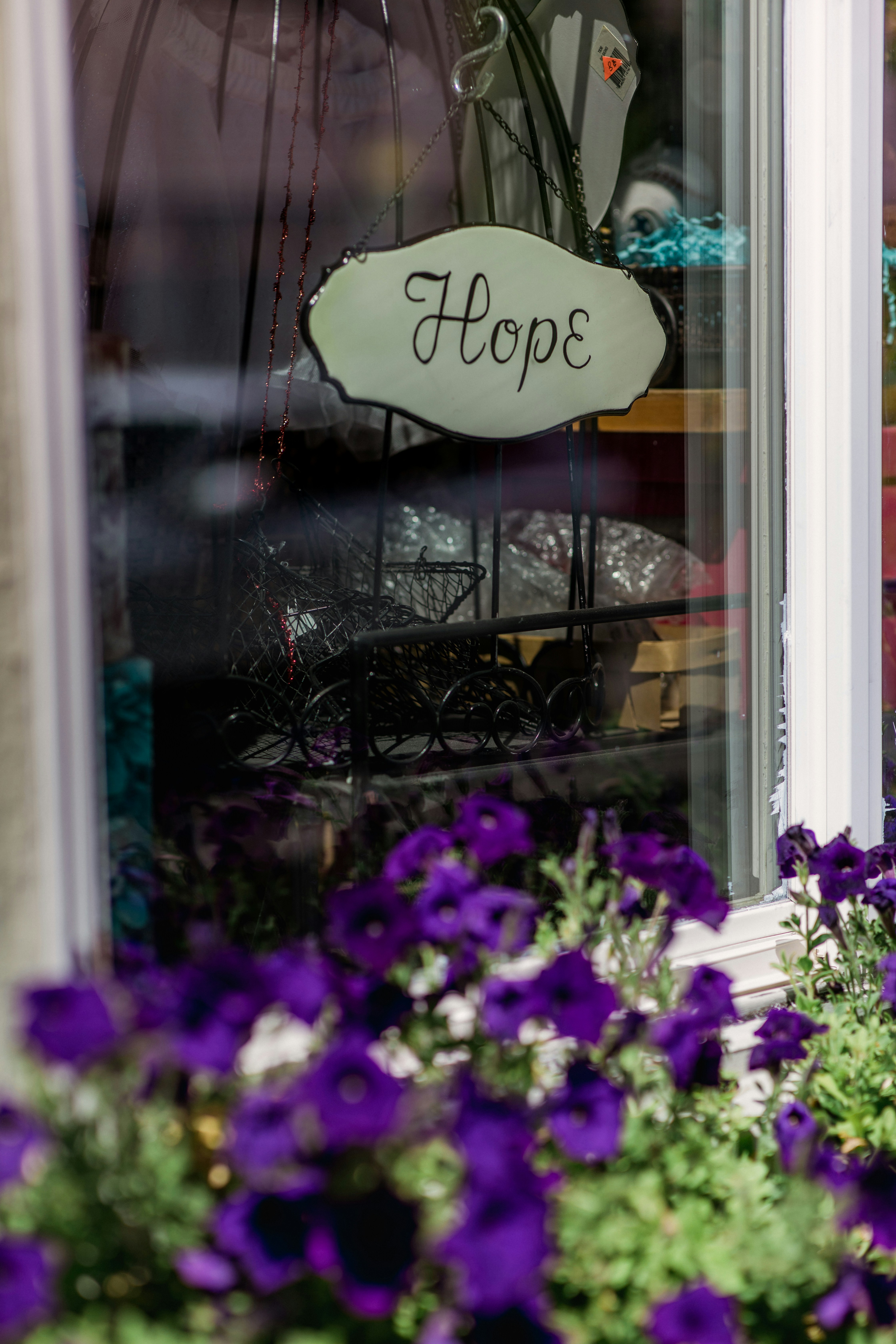 Hope in Glass: a flower-framed shop window still life