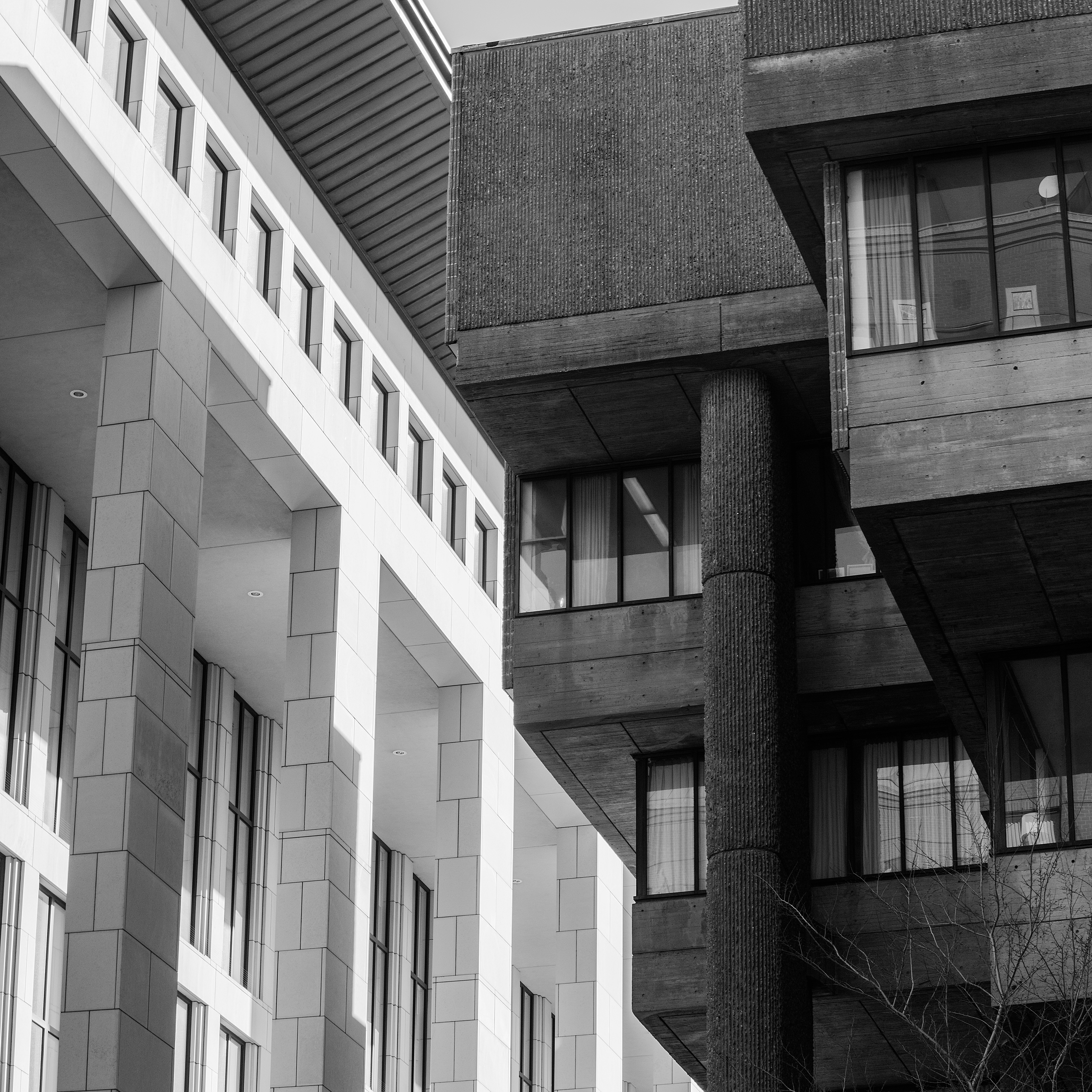 Concrete Ascension: A Monochrome Tale of Vertical Lines and Shadows