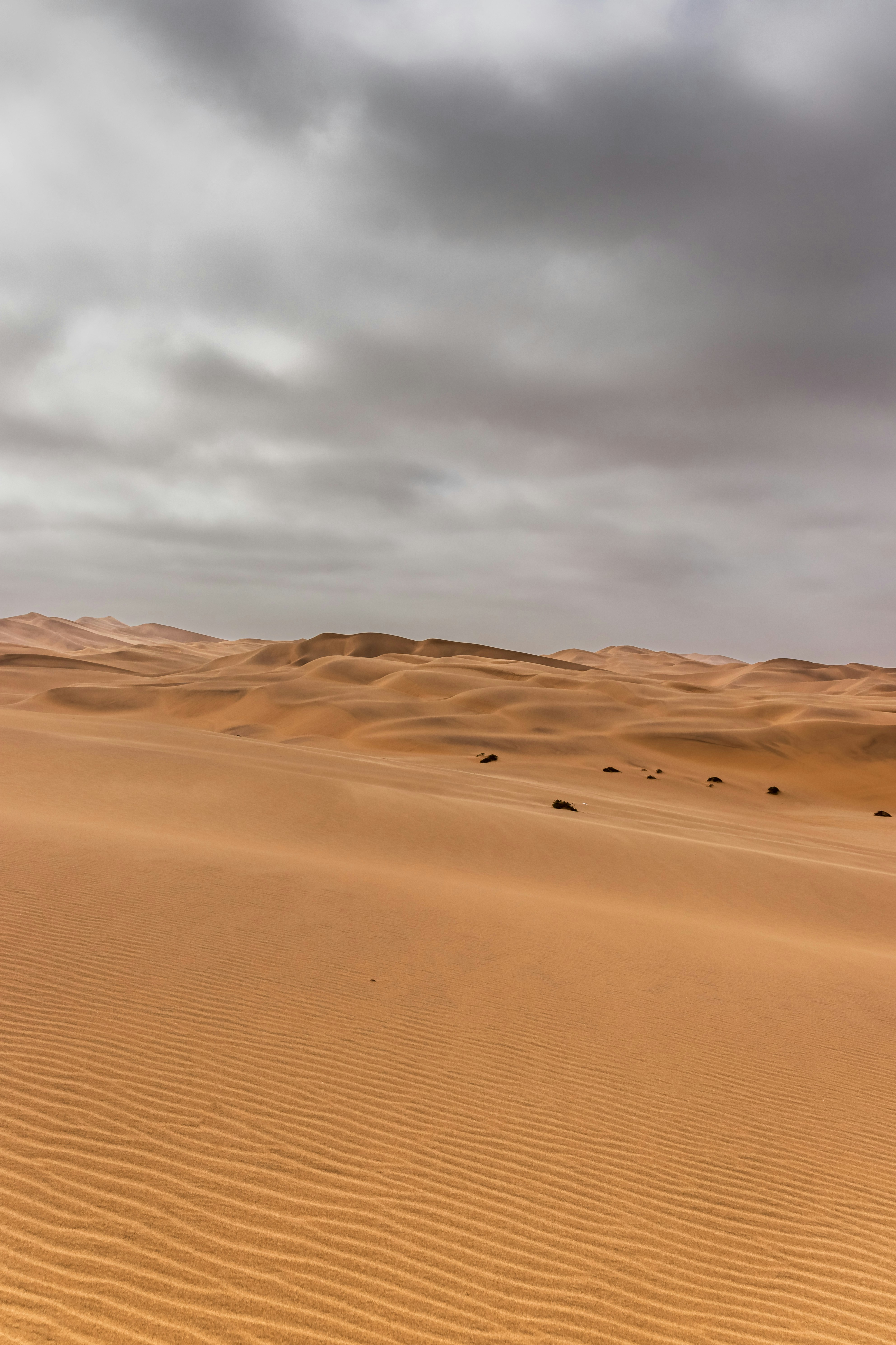 Close-up desert photo – Free Grey Image on Unsplash