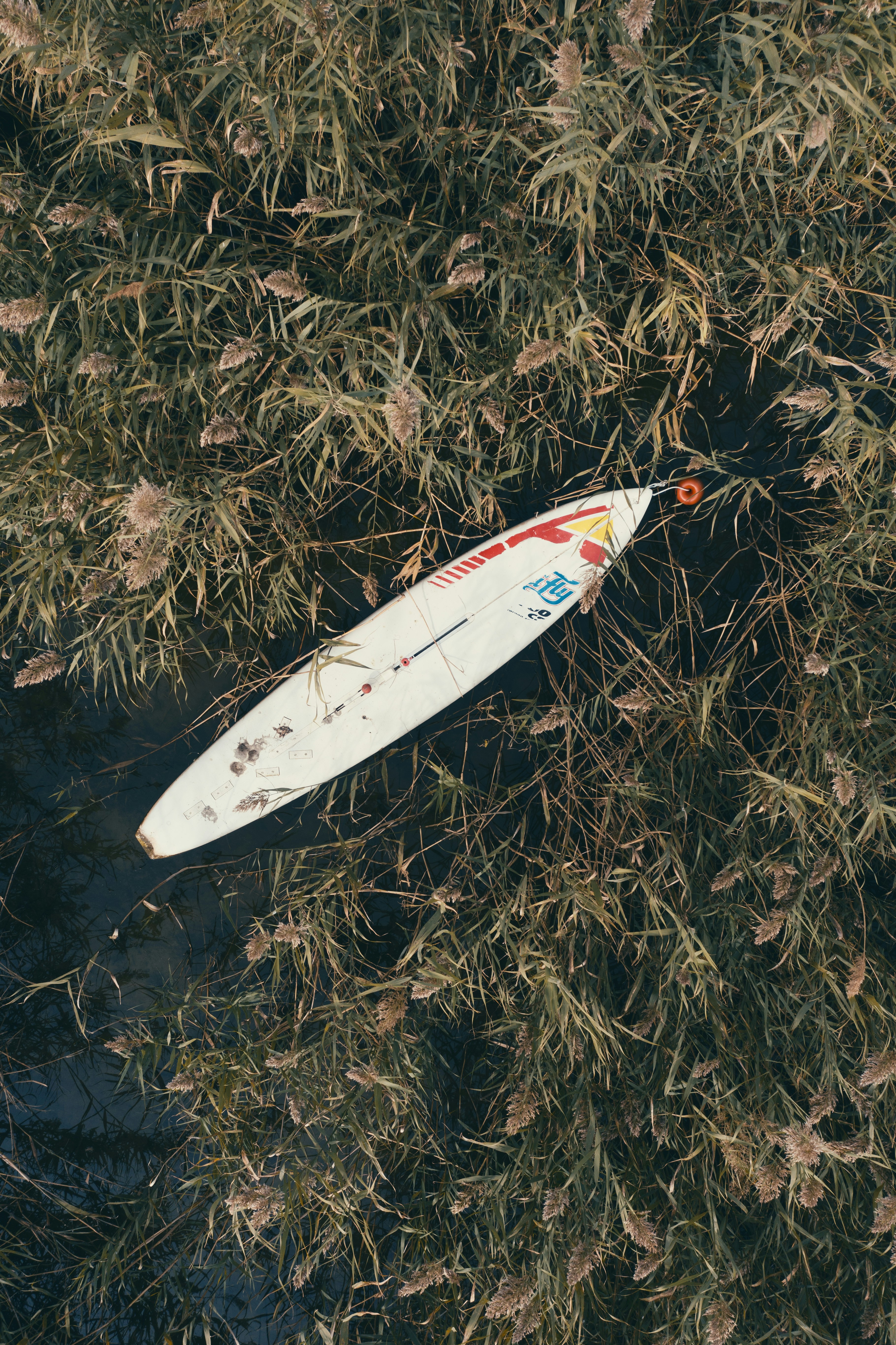 white and red surf board on plants