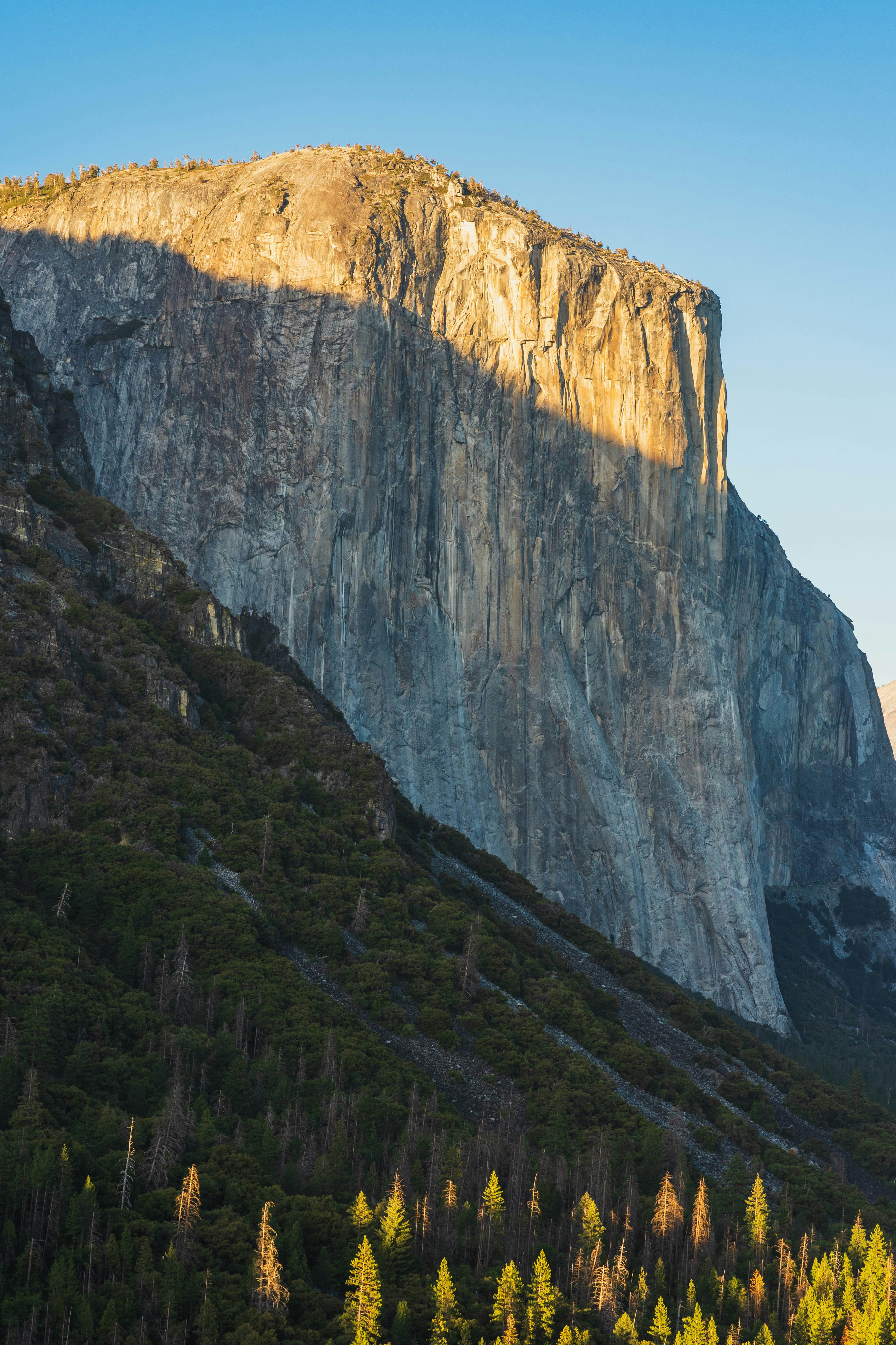 El Capitan, USA photo – Free Yosemite tunnel view Image on Unsplash