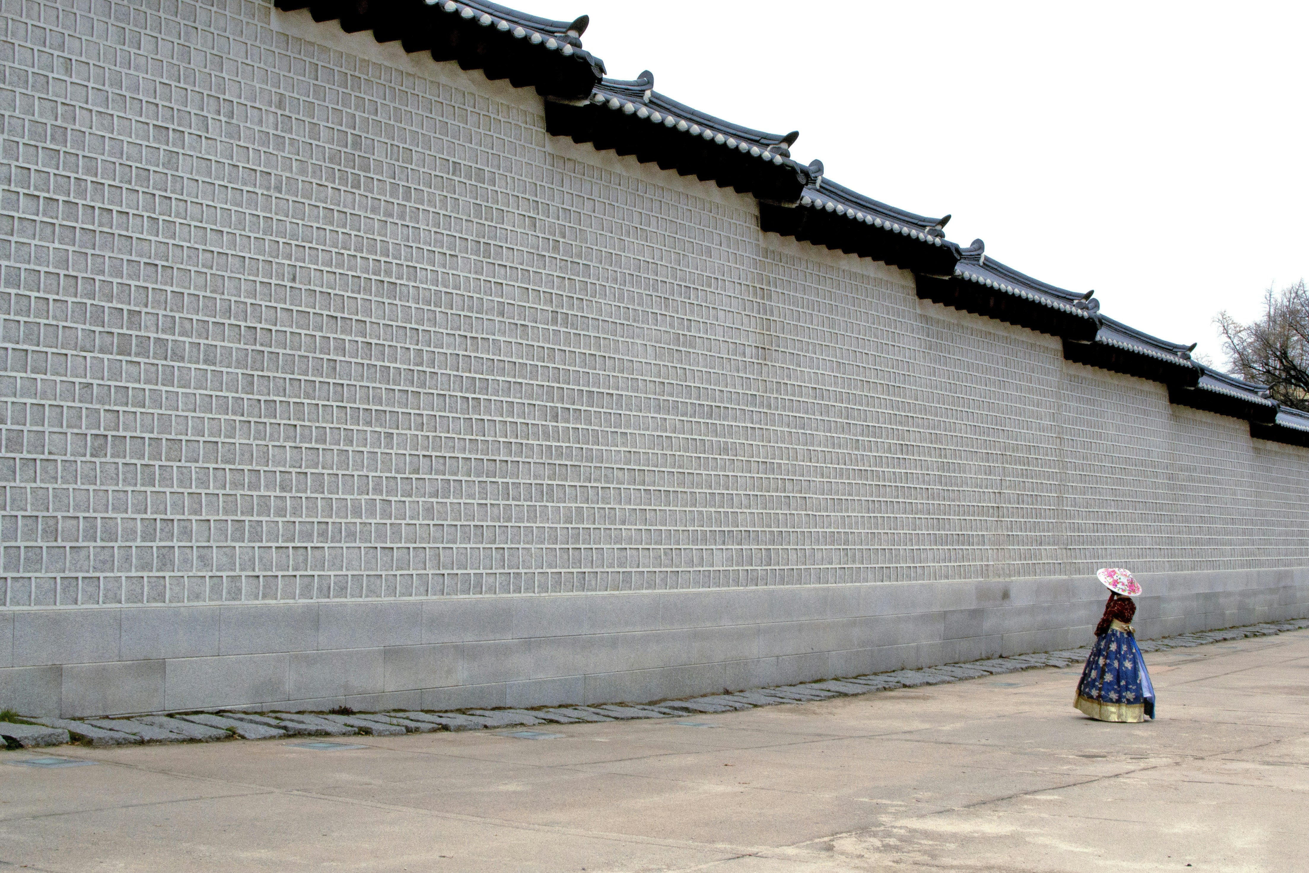 Woman wearing traditional dress standing in front of gray concrete wall ...
