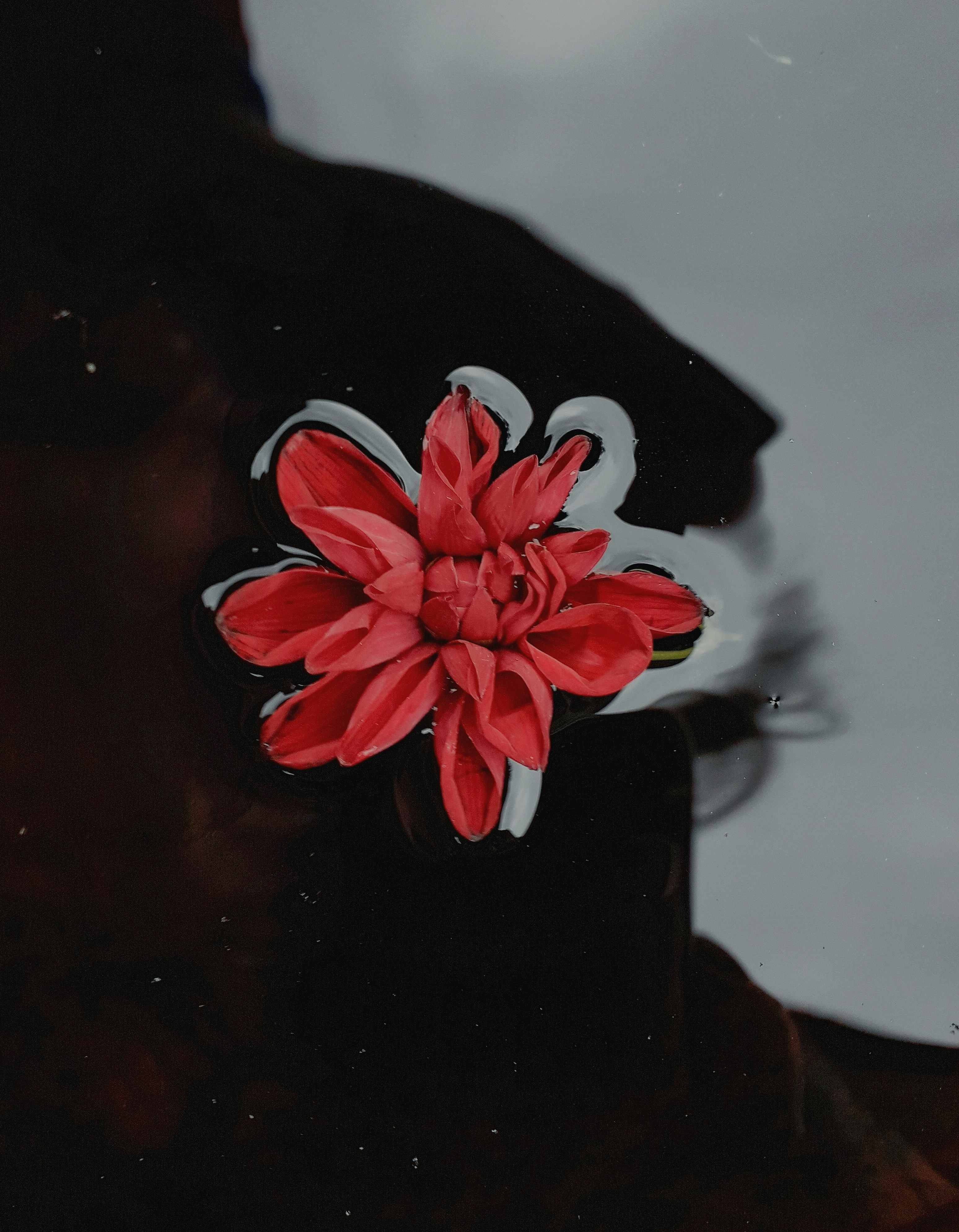 Sample photo from Samsung Galaxy J3