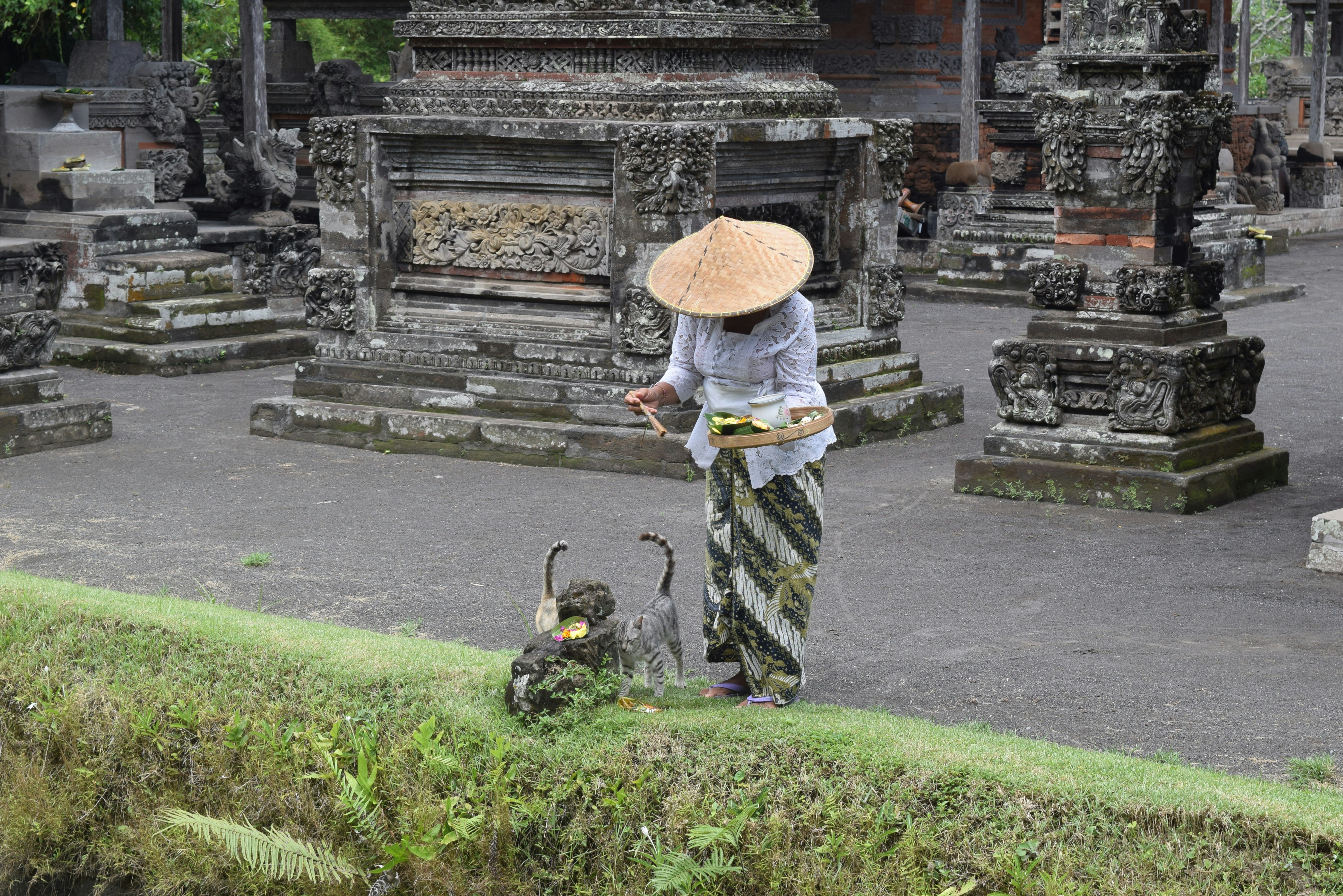 Conical-Hat Figure Arranges Offerings in a Moss-Covered Temple Courtyard