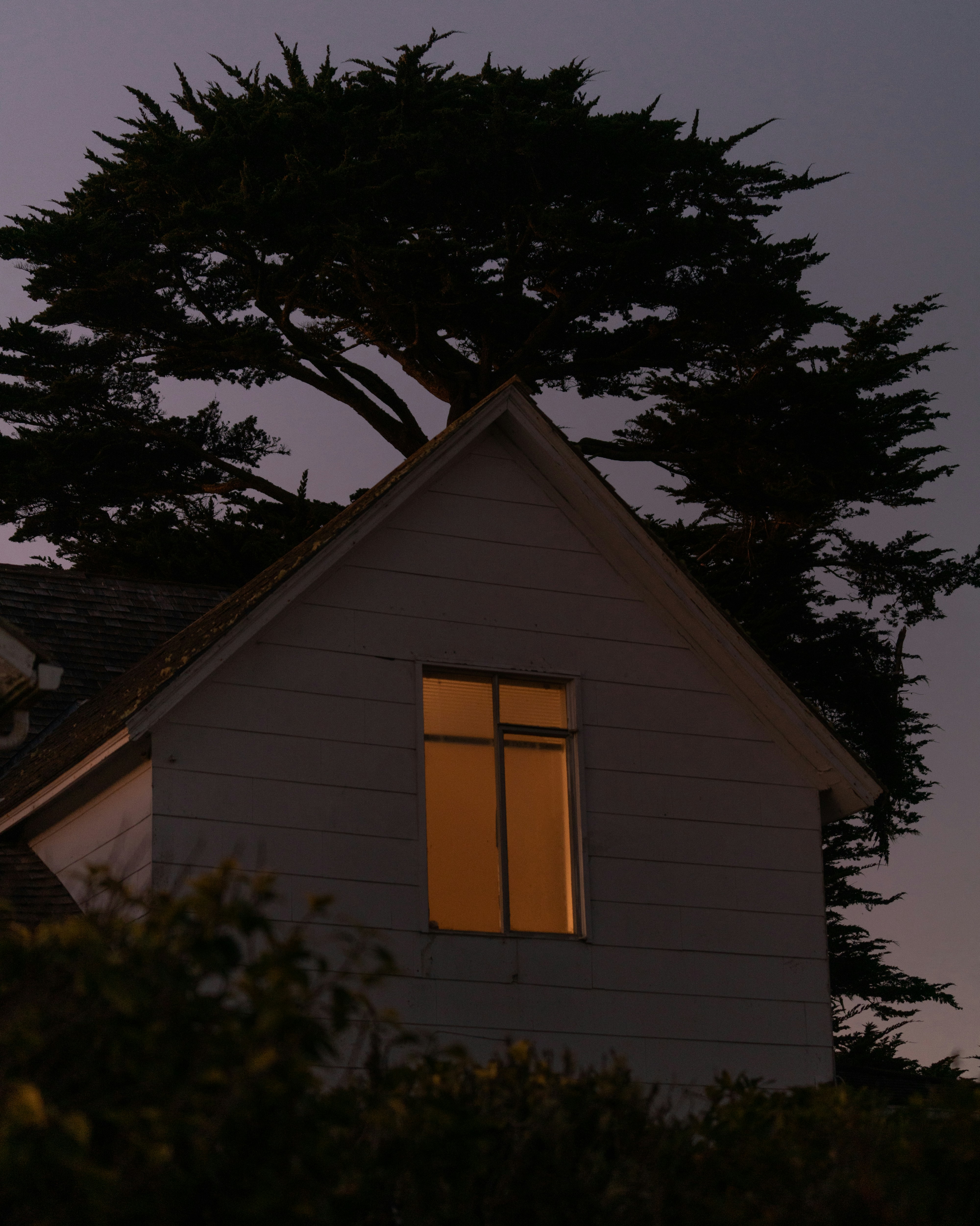 White house beside tree photo – Free Building Image on Unsplash