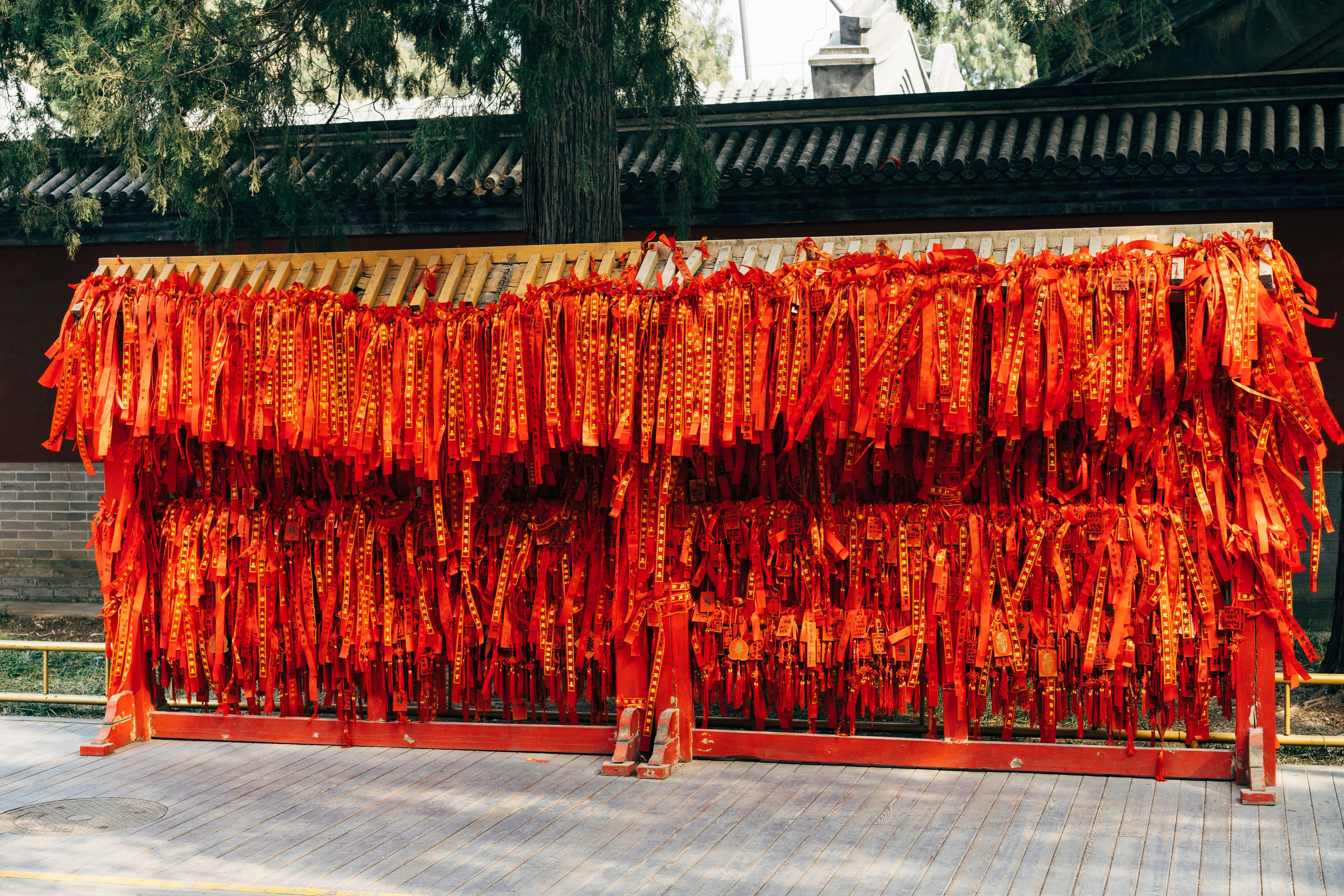 A display of orange ribbons hanging on a fence photo – Free Building ...