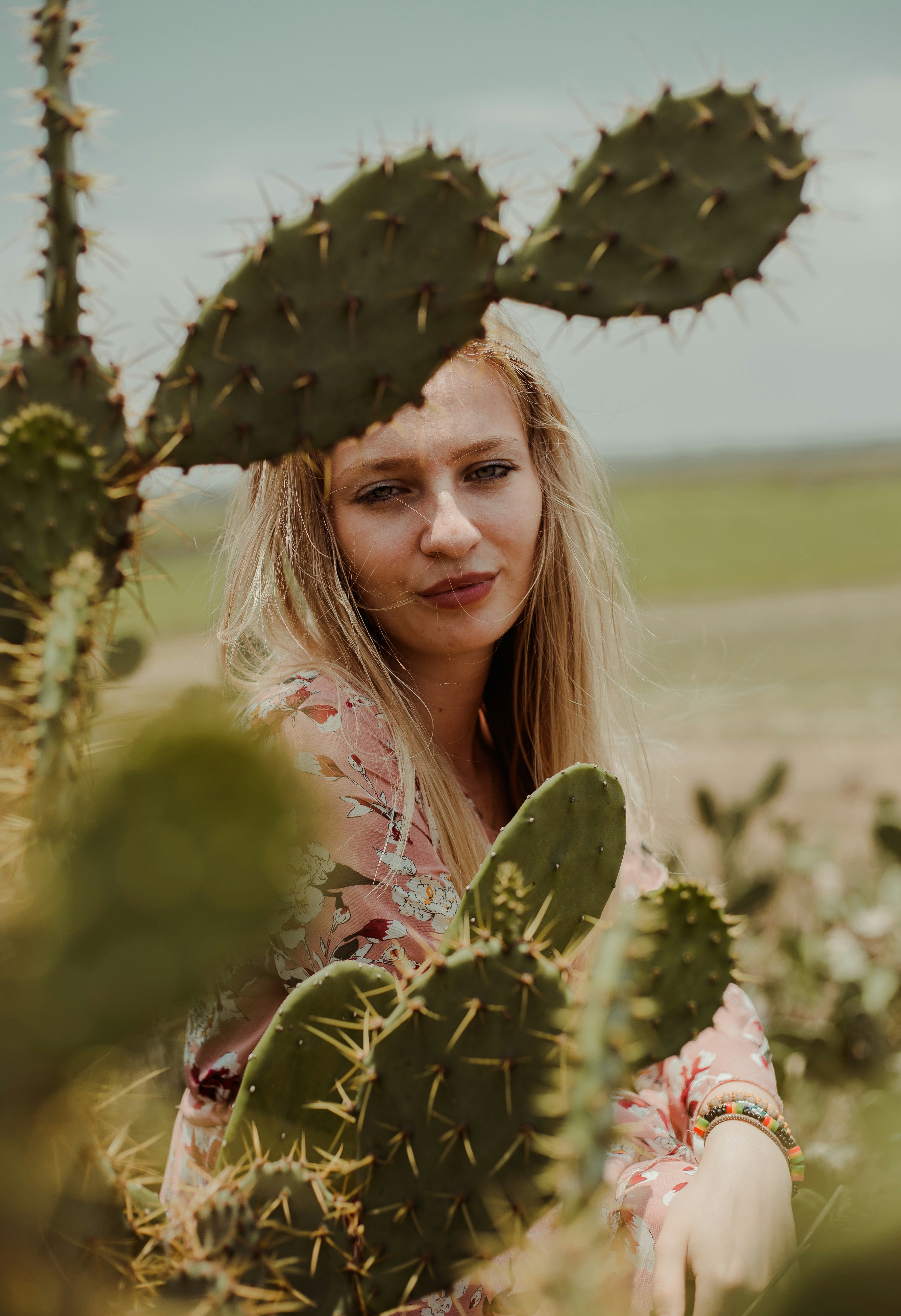 Deserted Cactus Window: A Portrait Among Spines