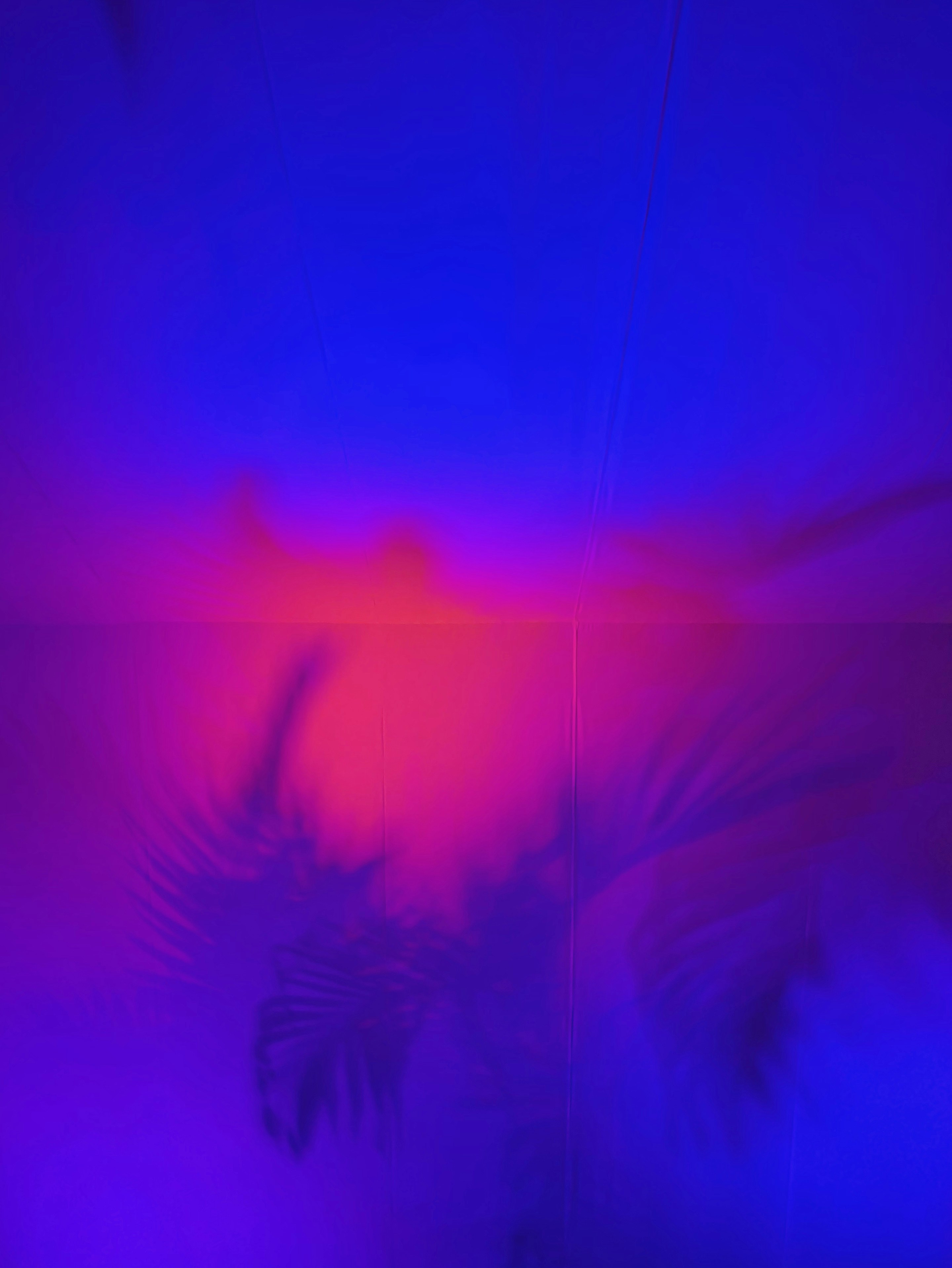 Abstract interplay of colors and shadows, featuring palm fronds illuminated in hues of blue and red.