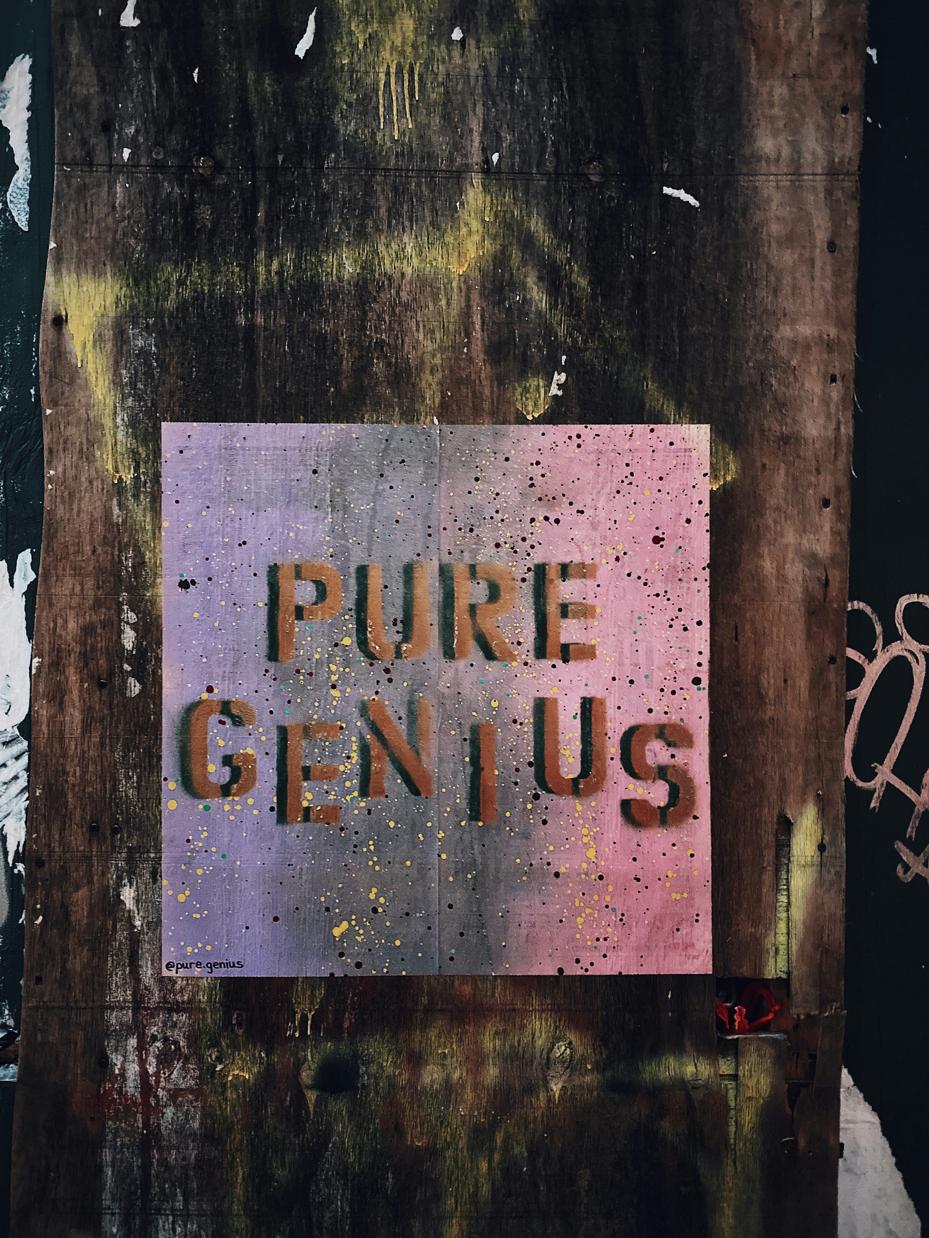 Signalétique Pure Genius photo – Photo Texte Gratuite sur Unsplash