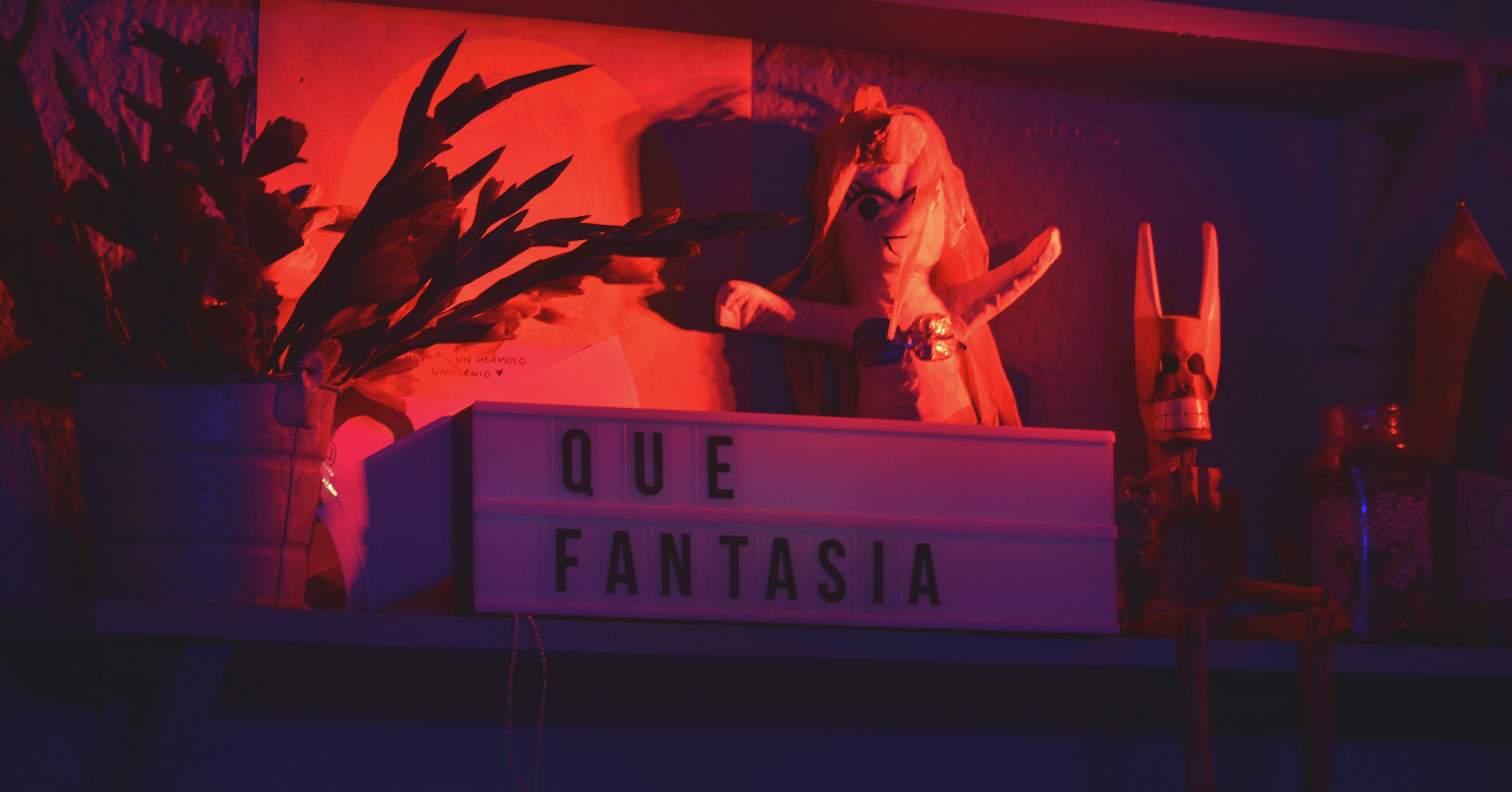 Colorful shelf display featuring a lightbox with the phrase 'QUE FANTASIA', surrounded by decorative items and plants.