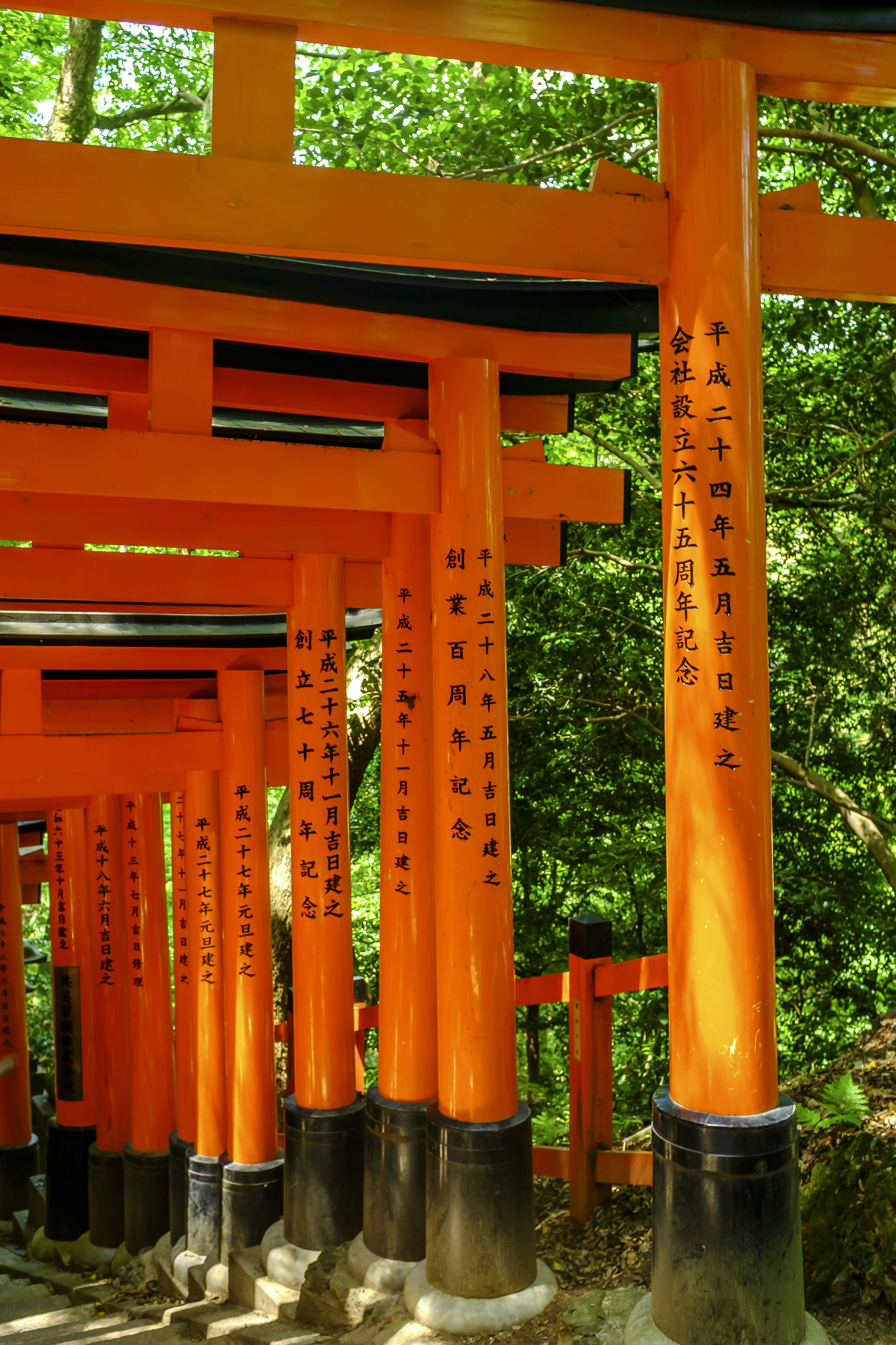 Orange Tori gates photo – Free Japan Image on Unsplash