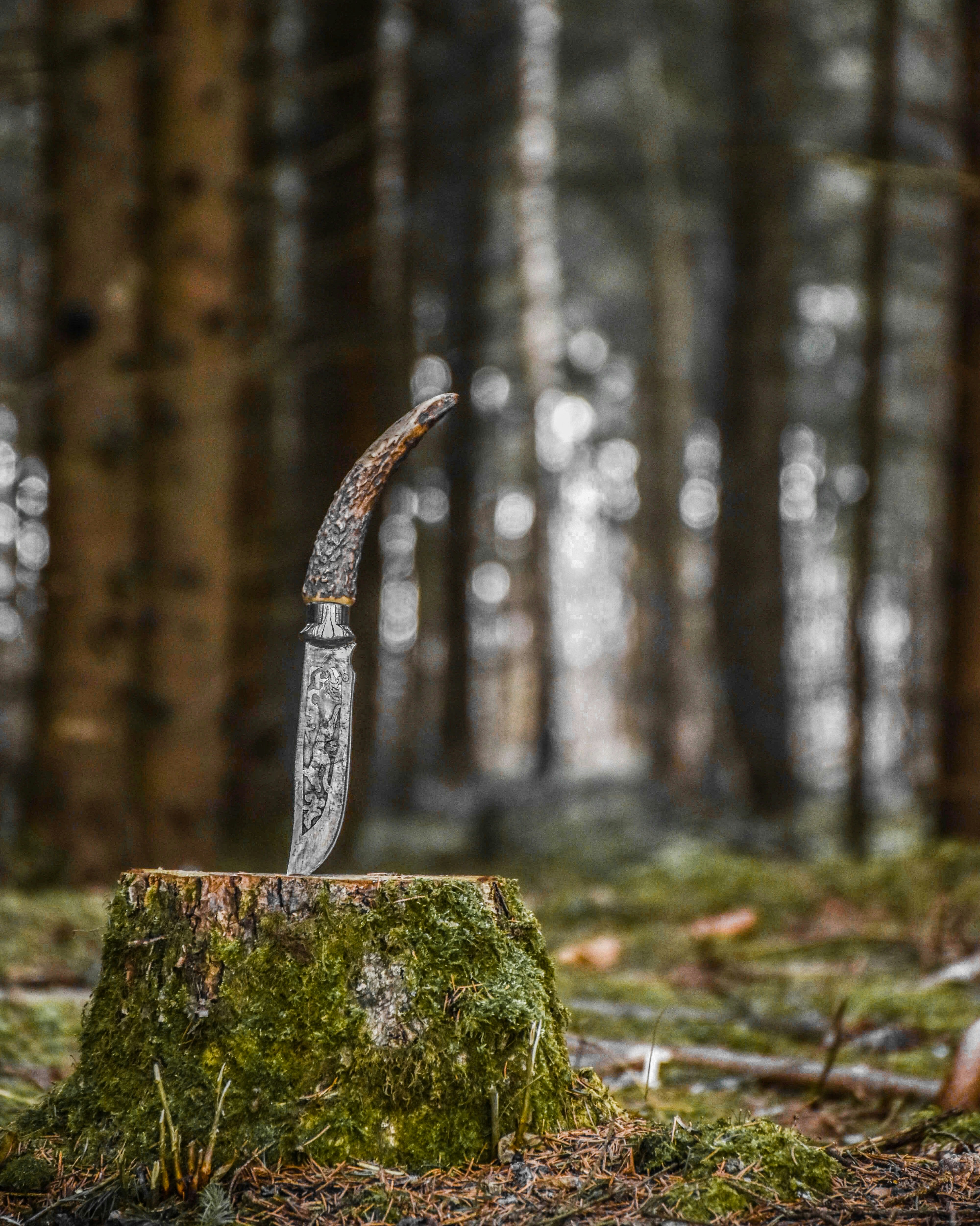 Curved Knife in a Mossy Forest Altar