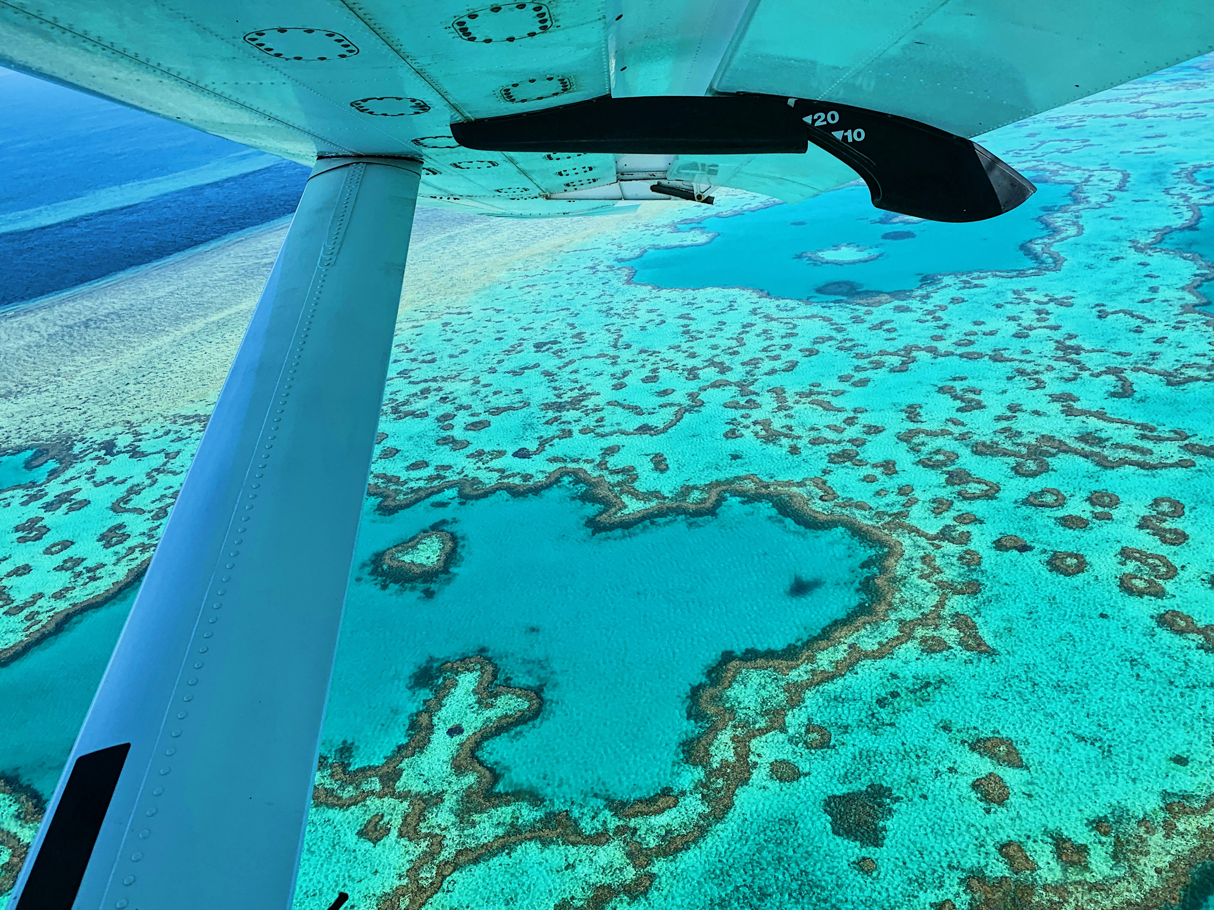 Wing-Window over a Turquoise Reef Maze