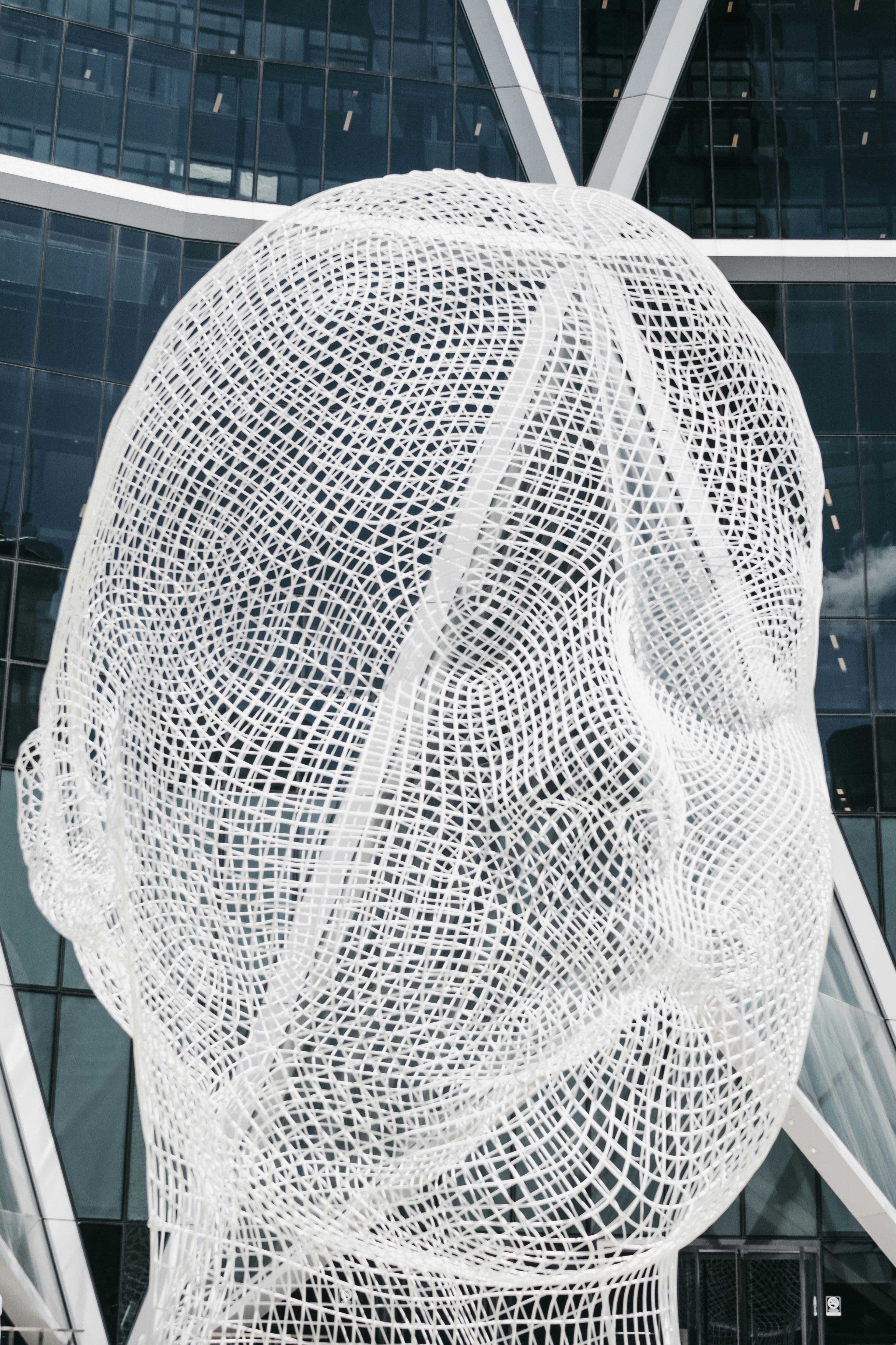 Mesh Portrait: A White Lattice Head Framed by Modern Glass