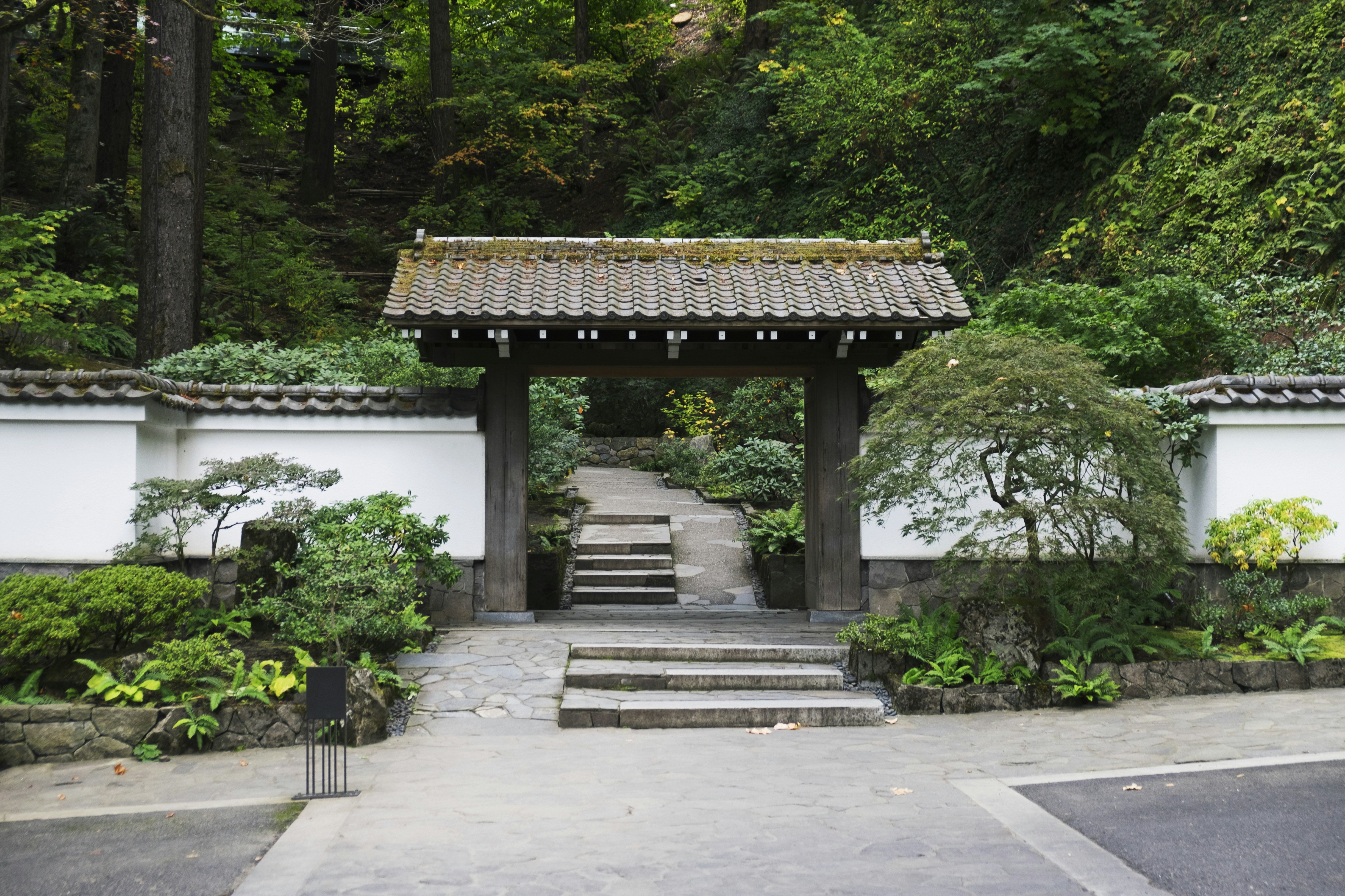 Empty pathway photo – Free Usa Image on Unsplash