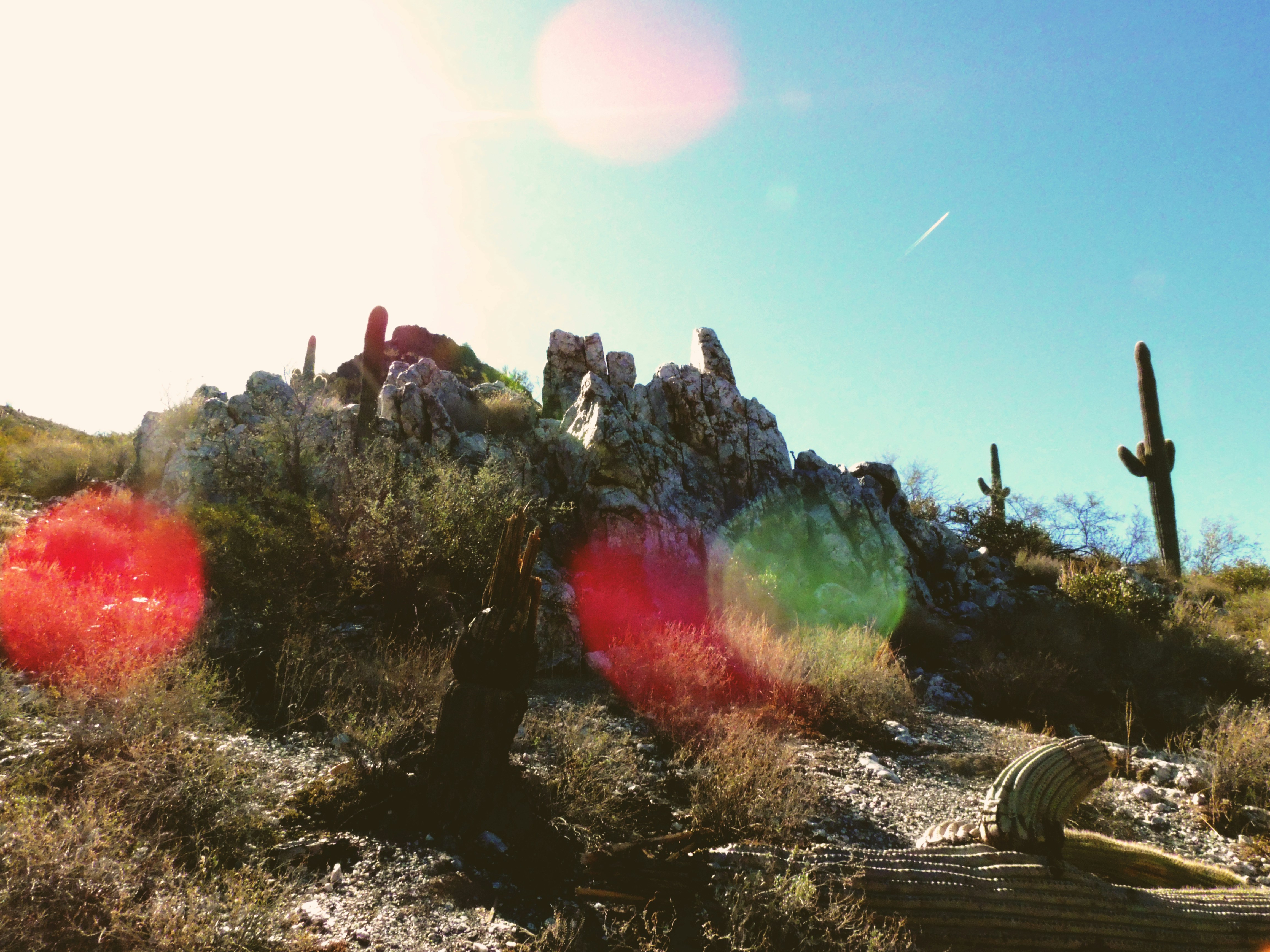 Rocky outcrop adorned with vibrant desert flora under a bright sun, showcasing the unique landscape of the region.