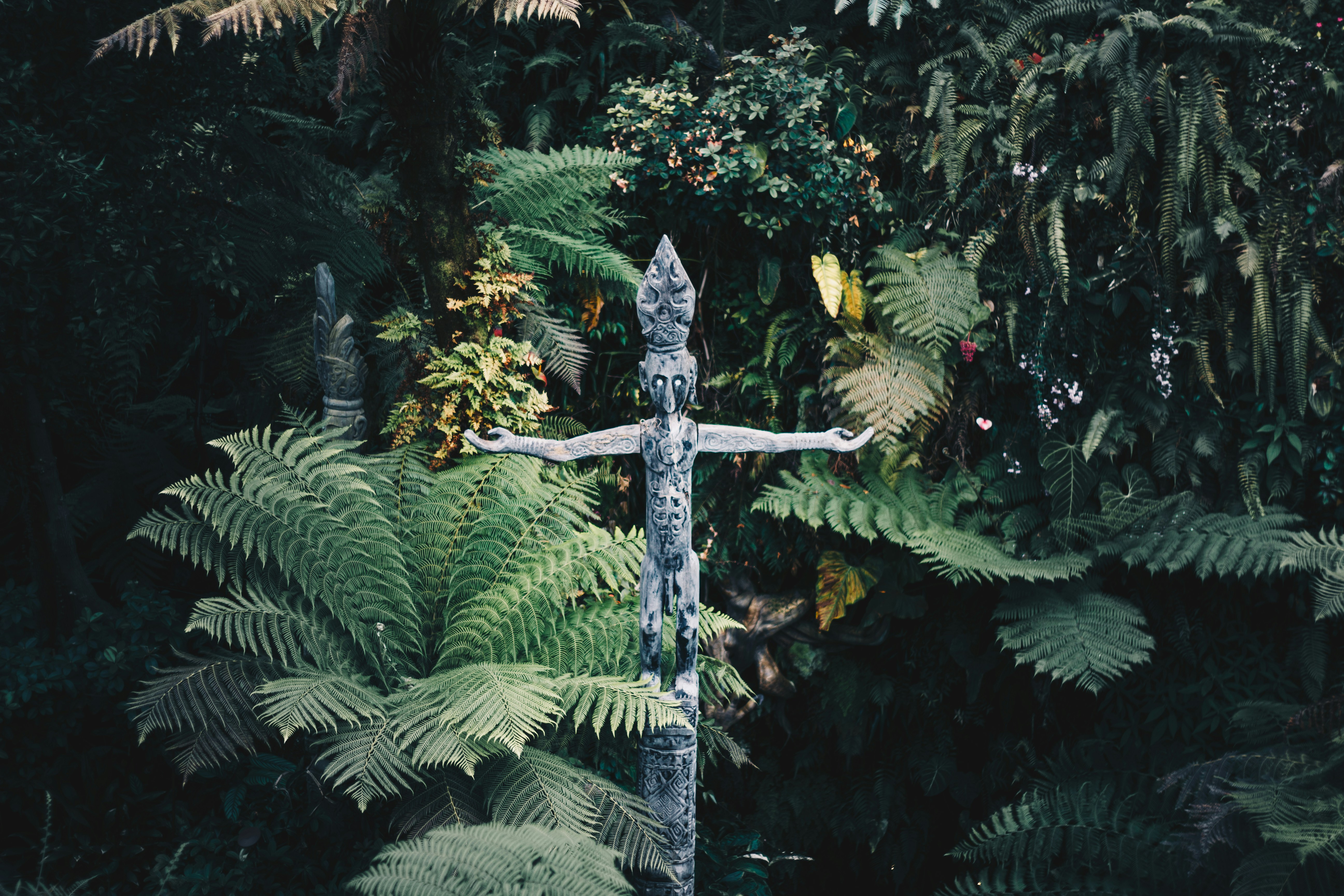 Photo by Daniel Radford with Canon EOS 550D