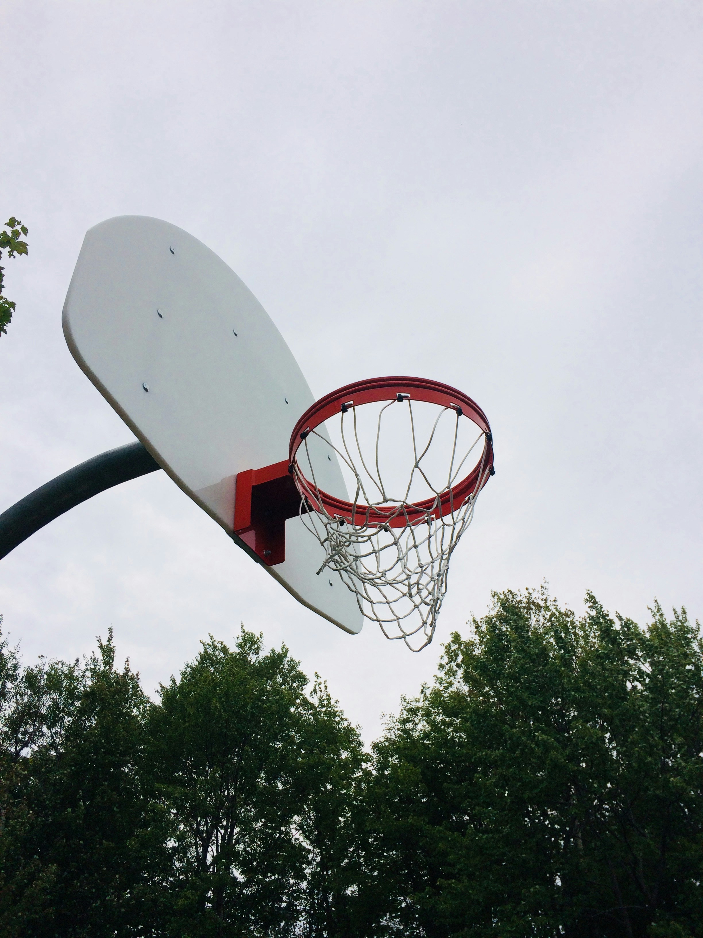 Frayed Net Under a Pale Sky: A Basketball Hoop Framed by Trees