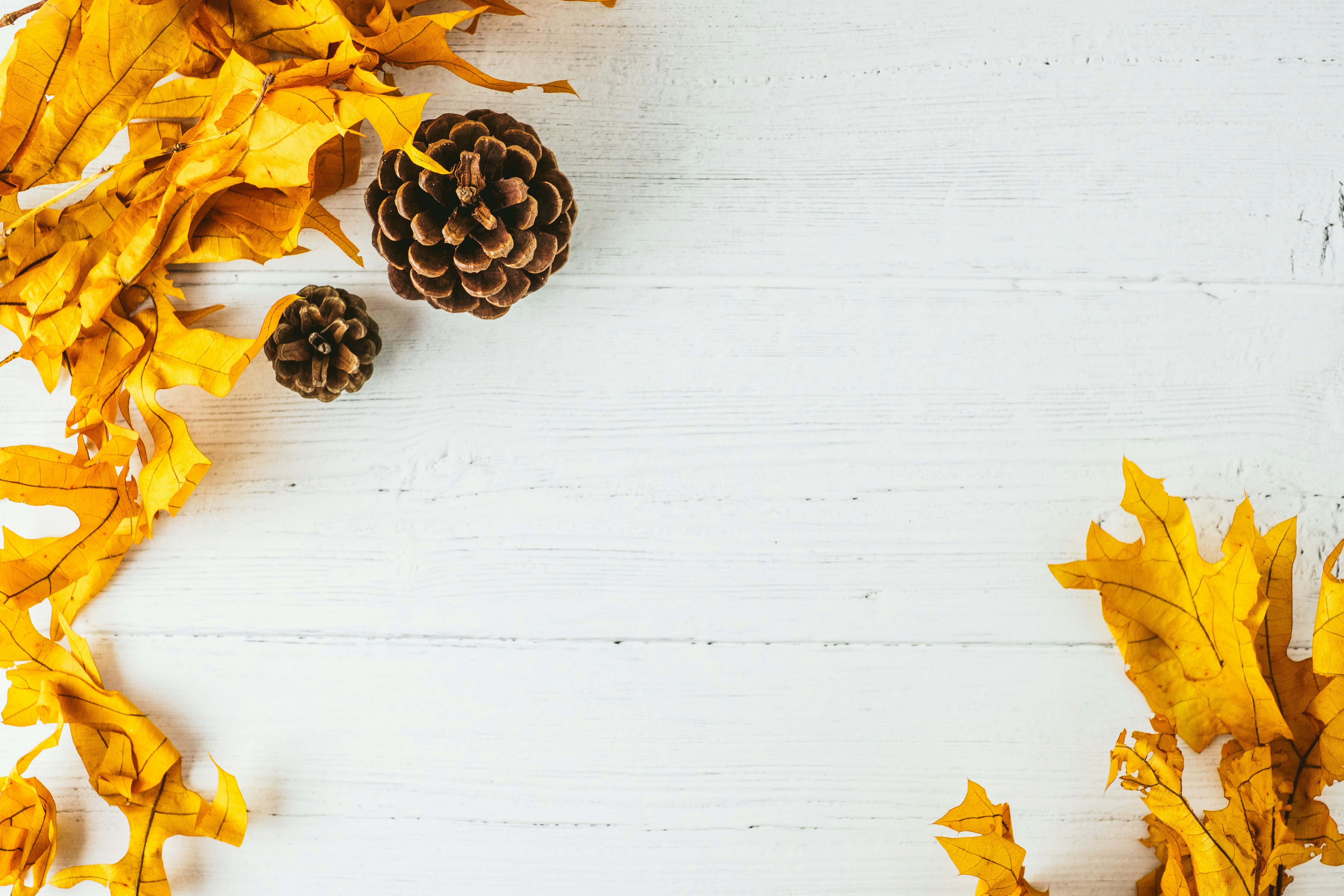 100+ Math Pictures | Download Free Images & Stock Photos on Unsplash