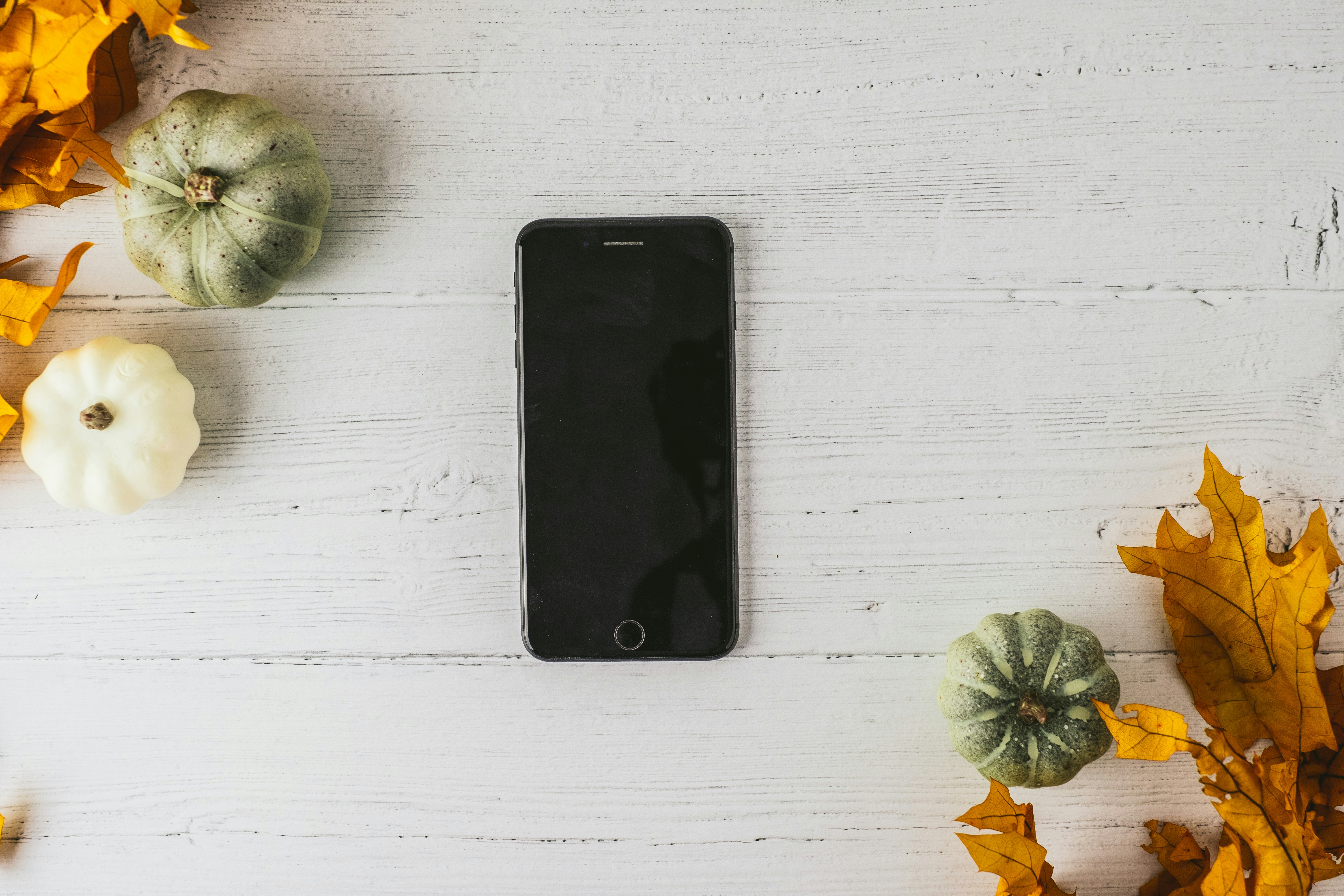 Centered Glass: A Minimal Autumn Moment with a Smartphone on a White Board