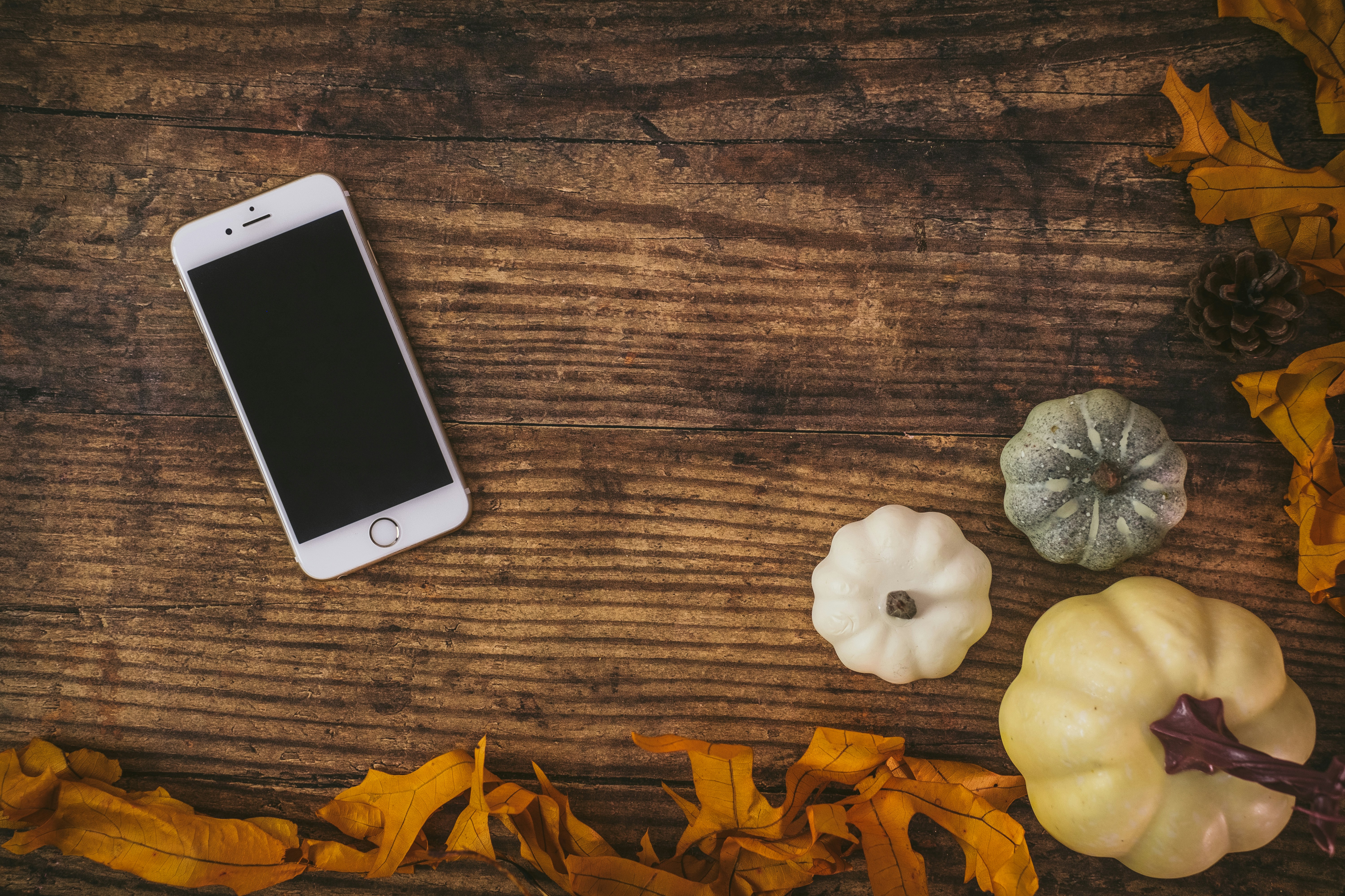 Fall Orange Leaves Pumpkins Rustic Wood Background with Iphone