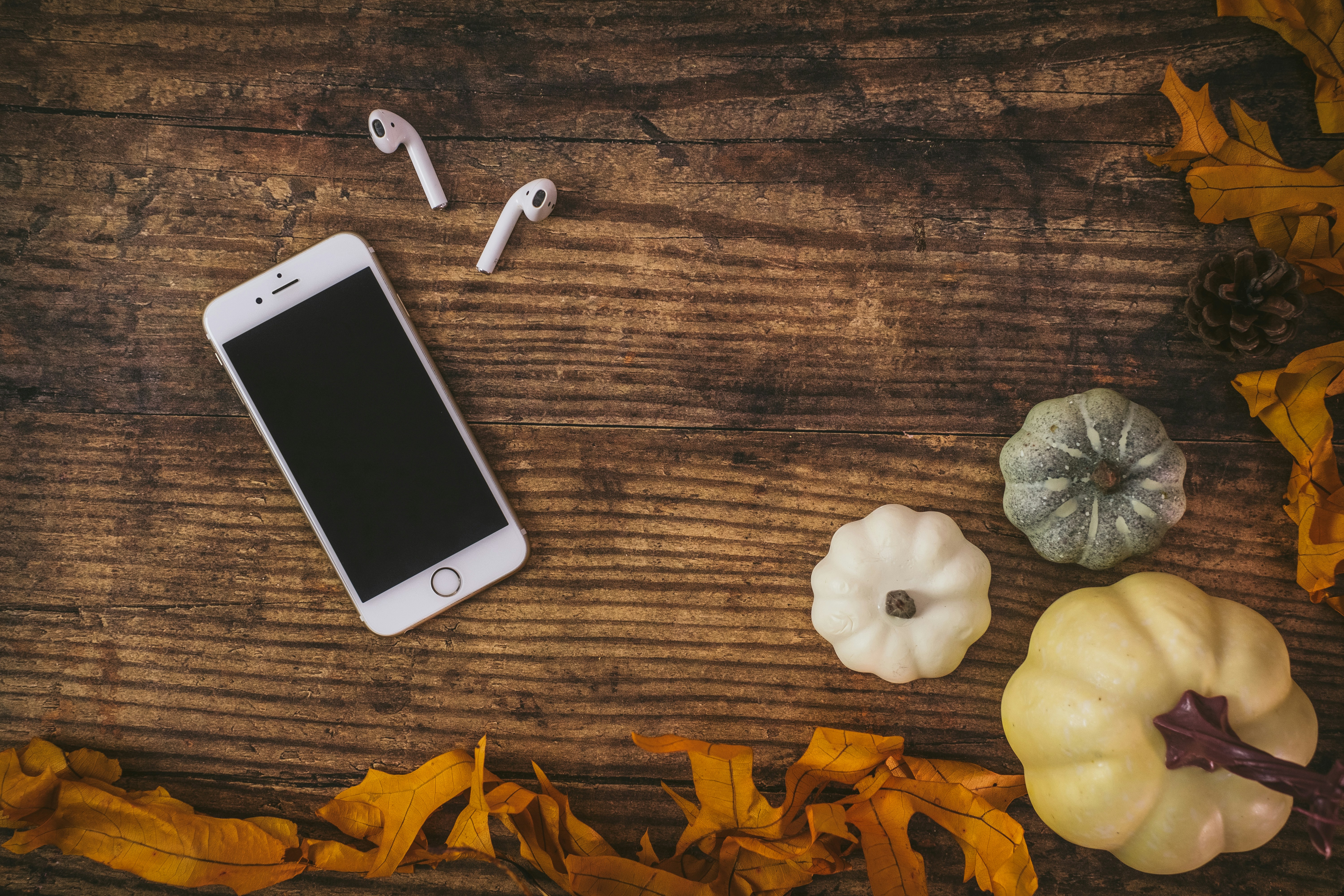Autumn Quiet by the Table: iPhone and AirPods Among Mini Pumpkins