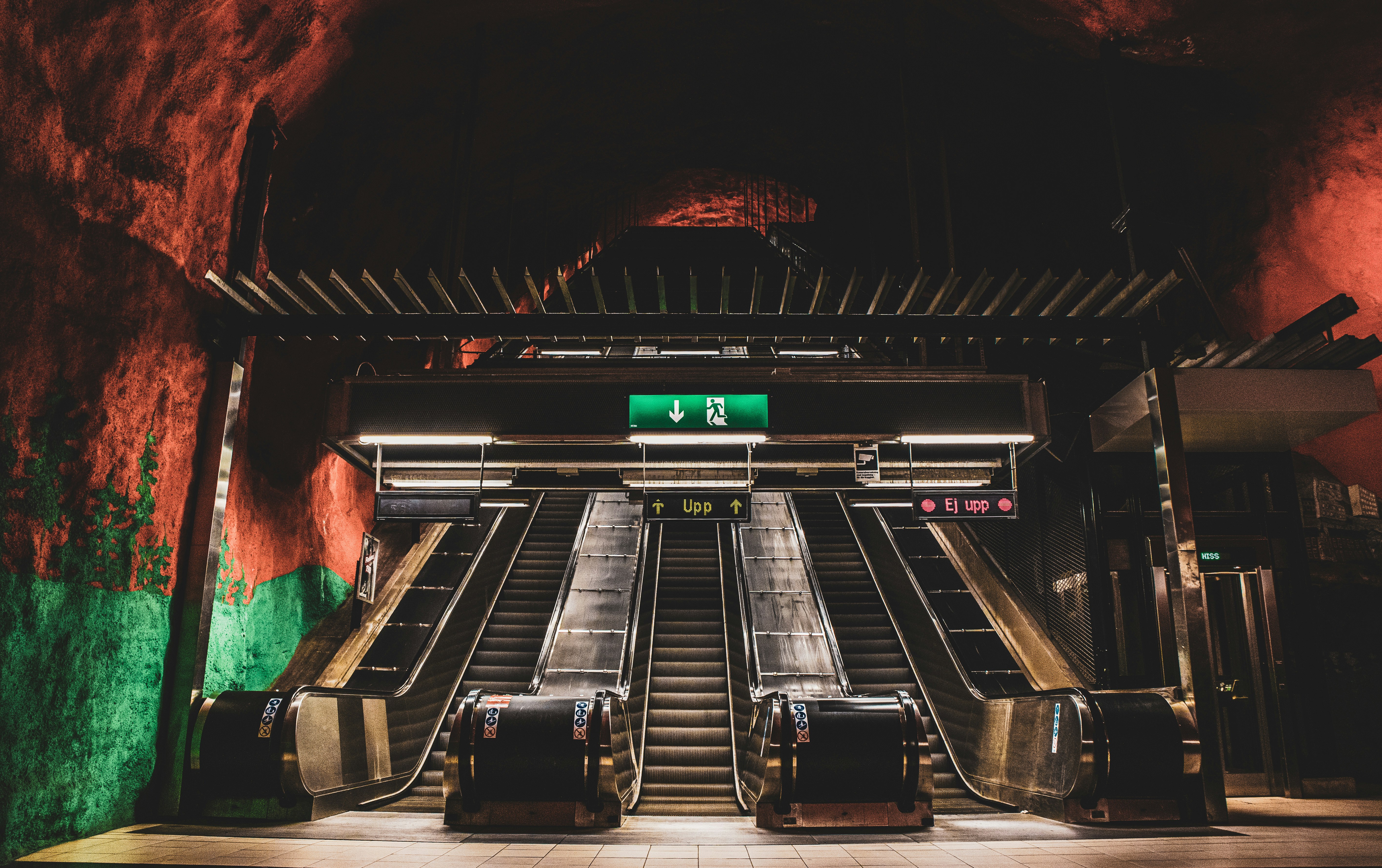Underground Ascent: Escalators Rising Beneath Painted Walls