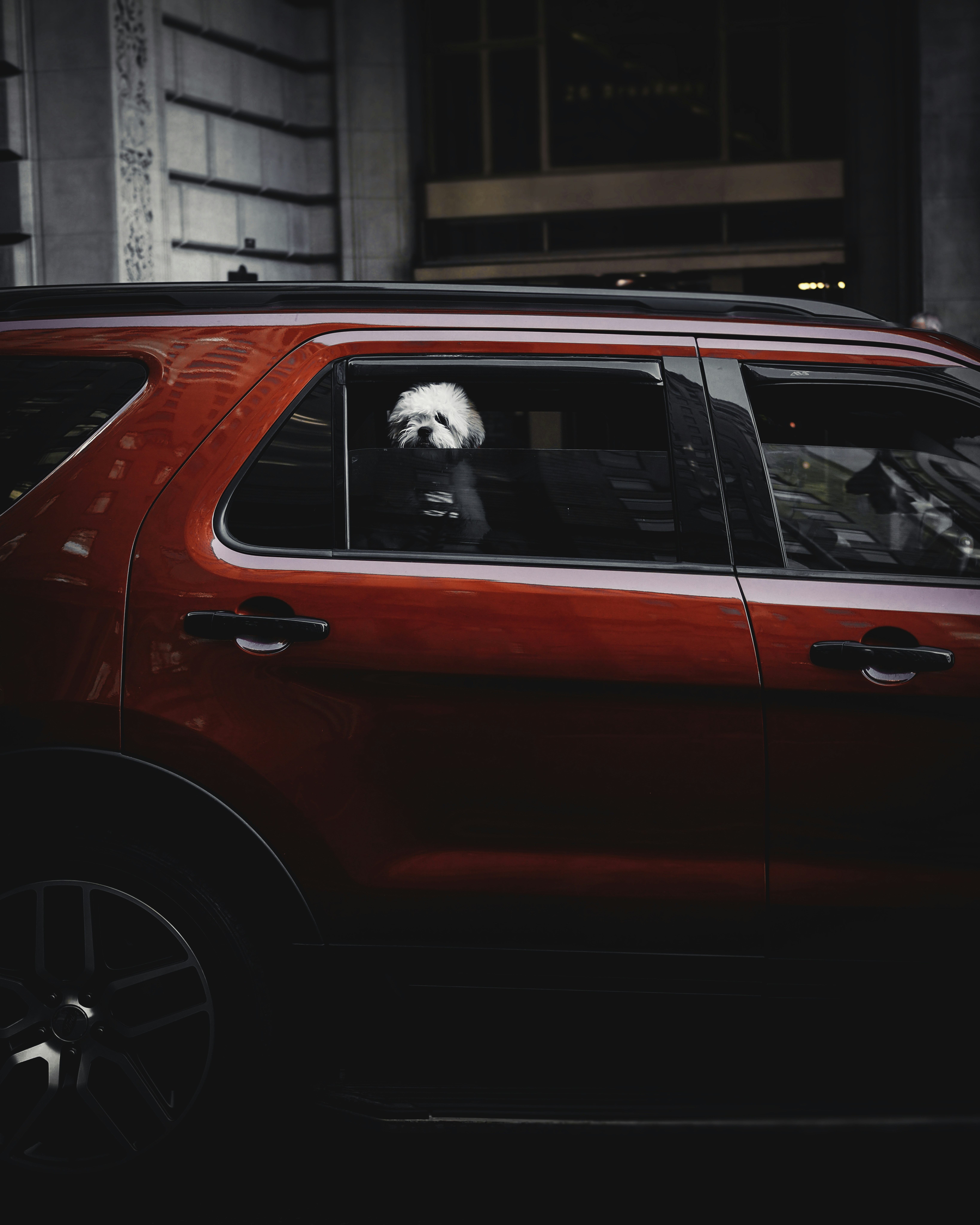 New Cars Pictures | Download Free Images on Unsplash