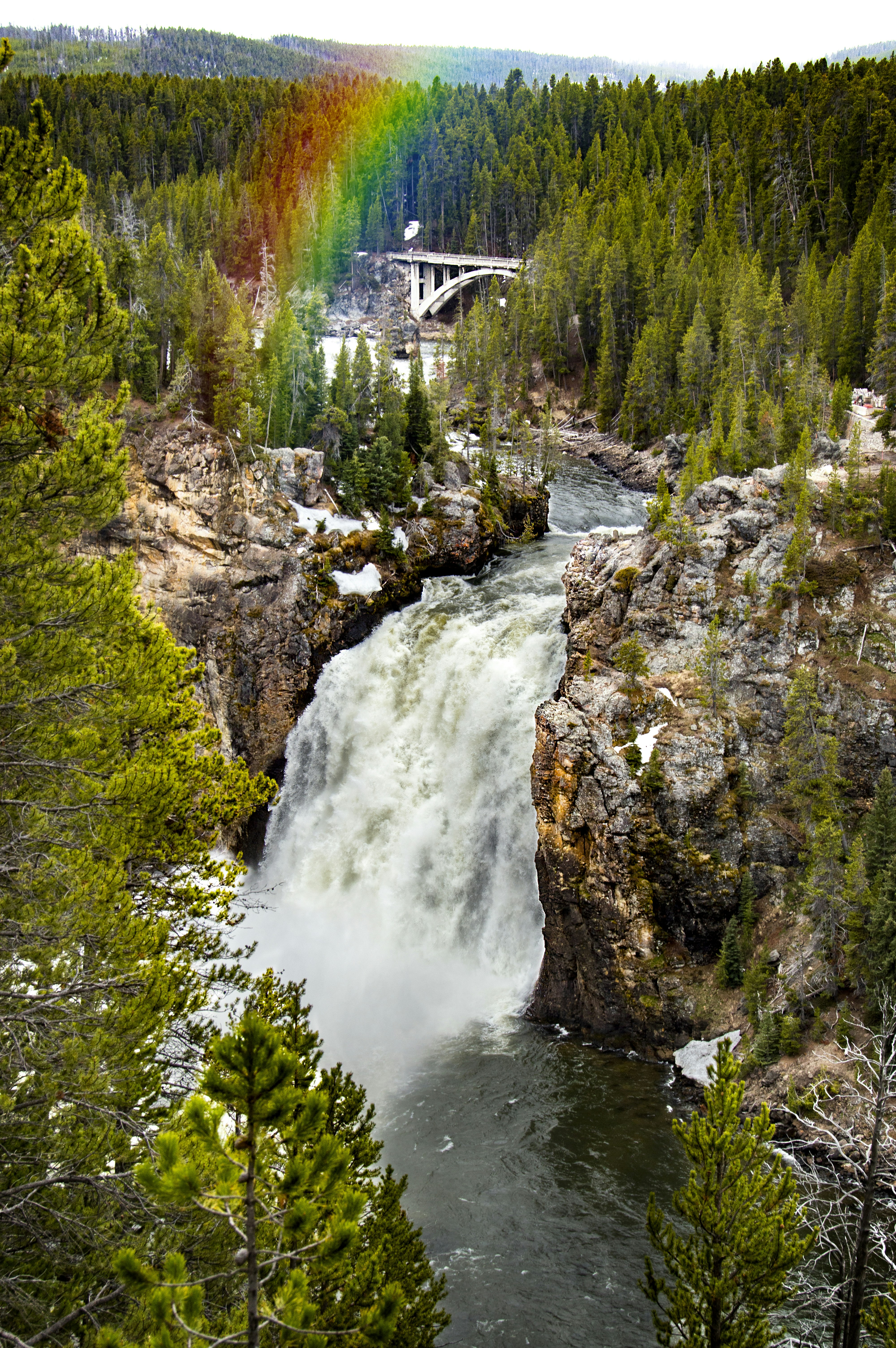Rainbow over the Gorge: A Pine-Framed Cascade Beneath a Distant Stone Bridge