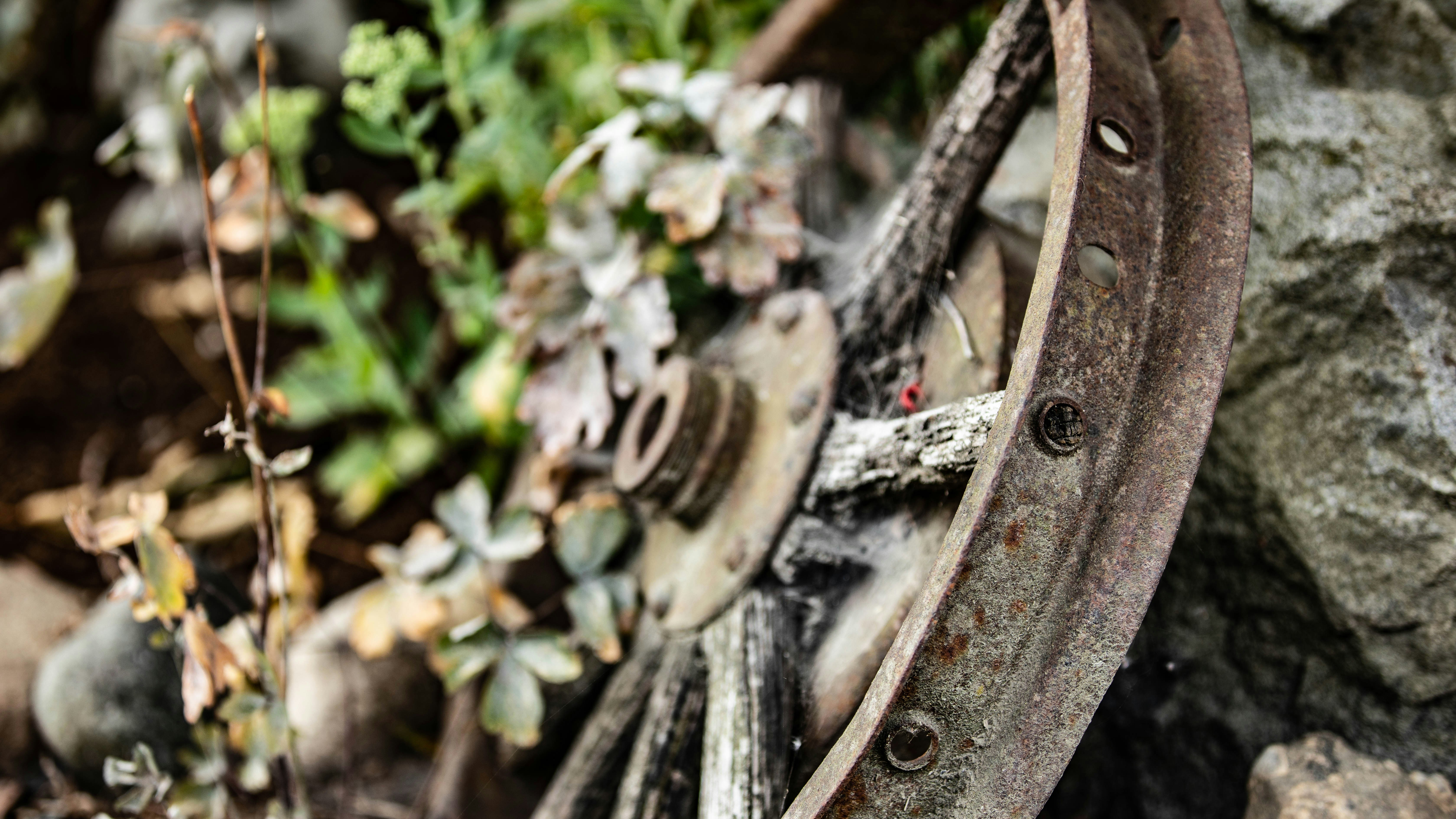 A weathered wheel partially obscured by greenery and stones, showcasing the interplay between nature and man-made objects.