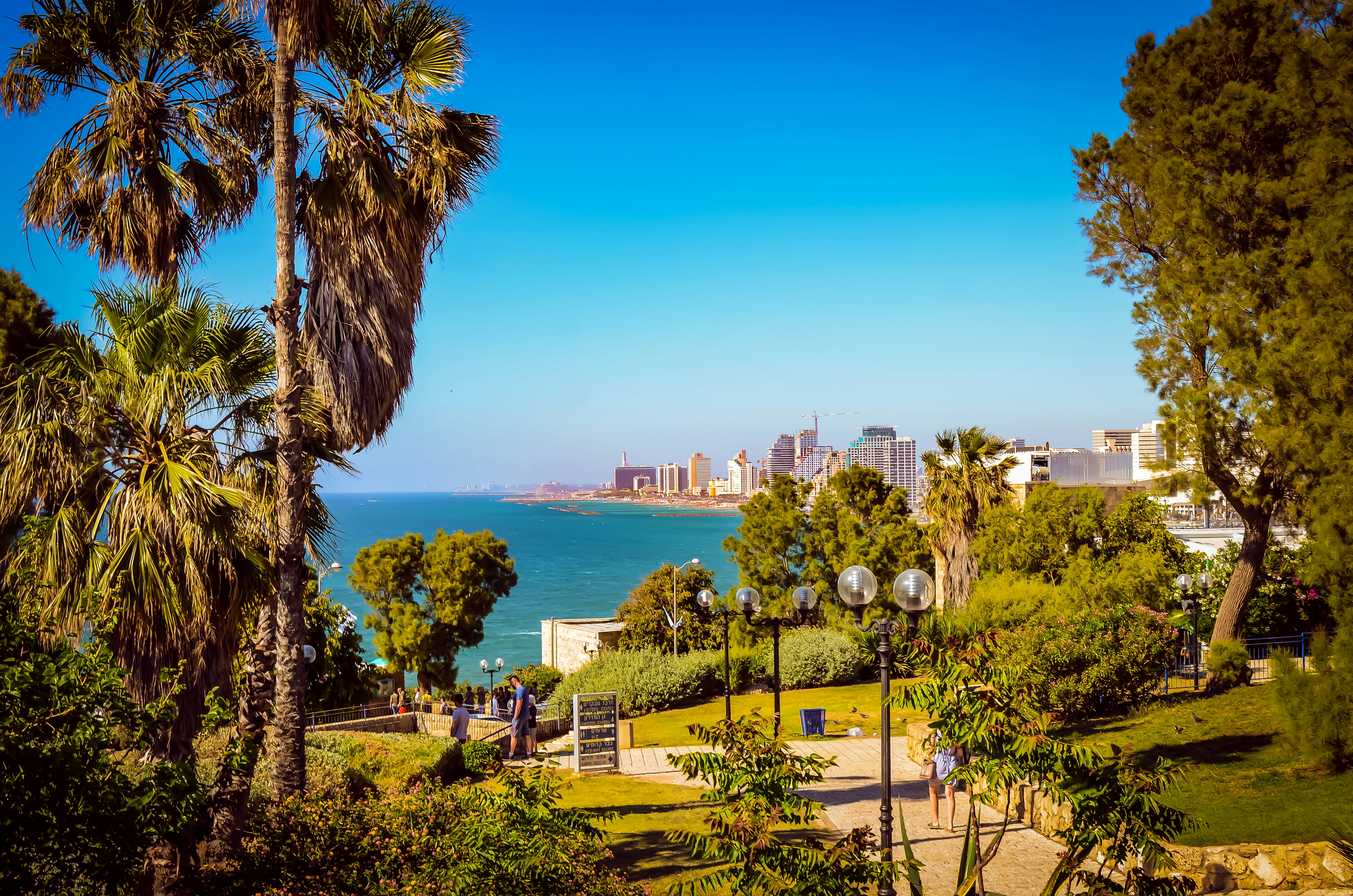Coastal Park with Ocean View Toward a City Skyline