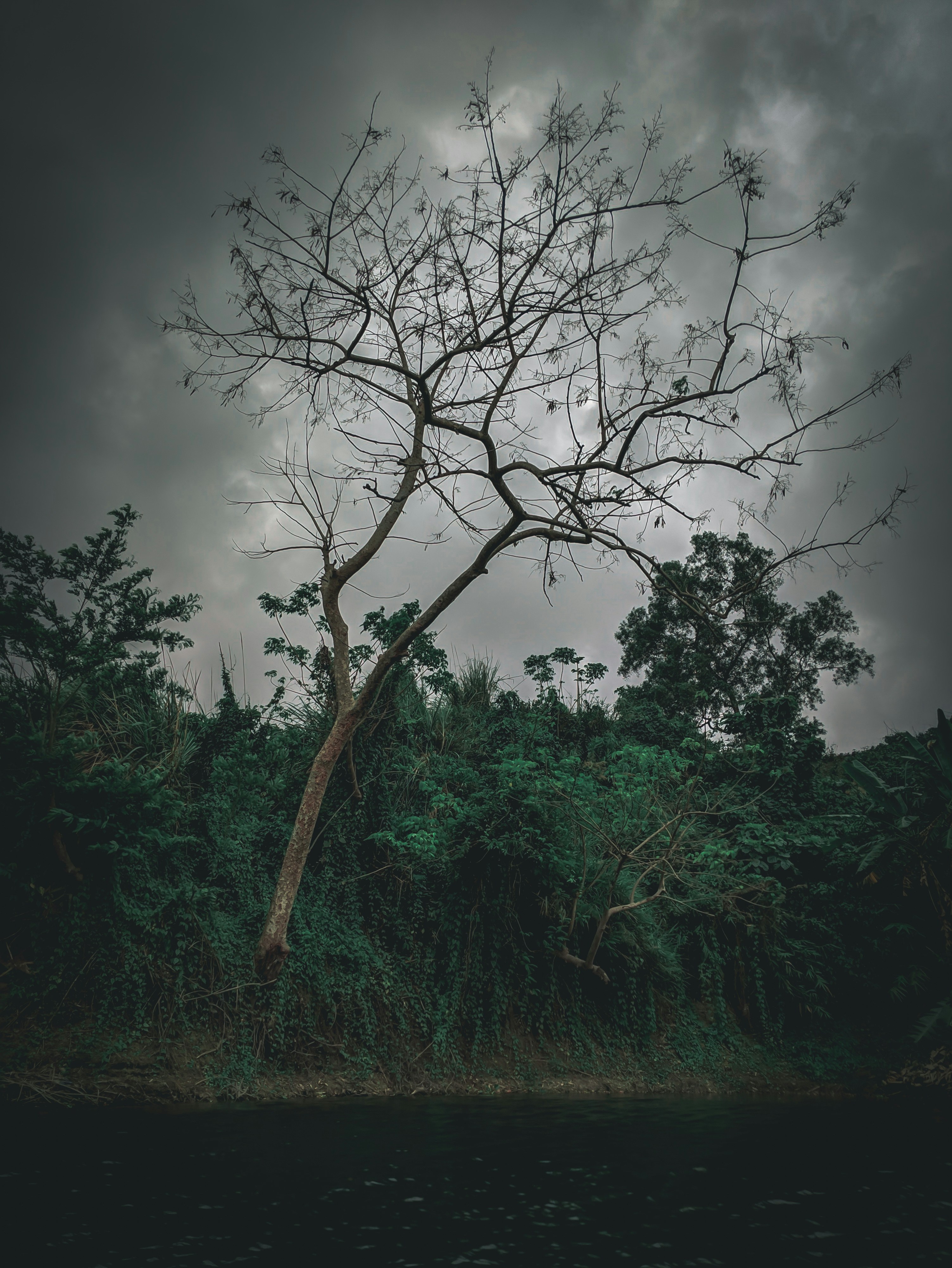 Leaning Sentinel Under a Storm-Heavy Sky